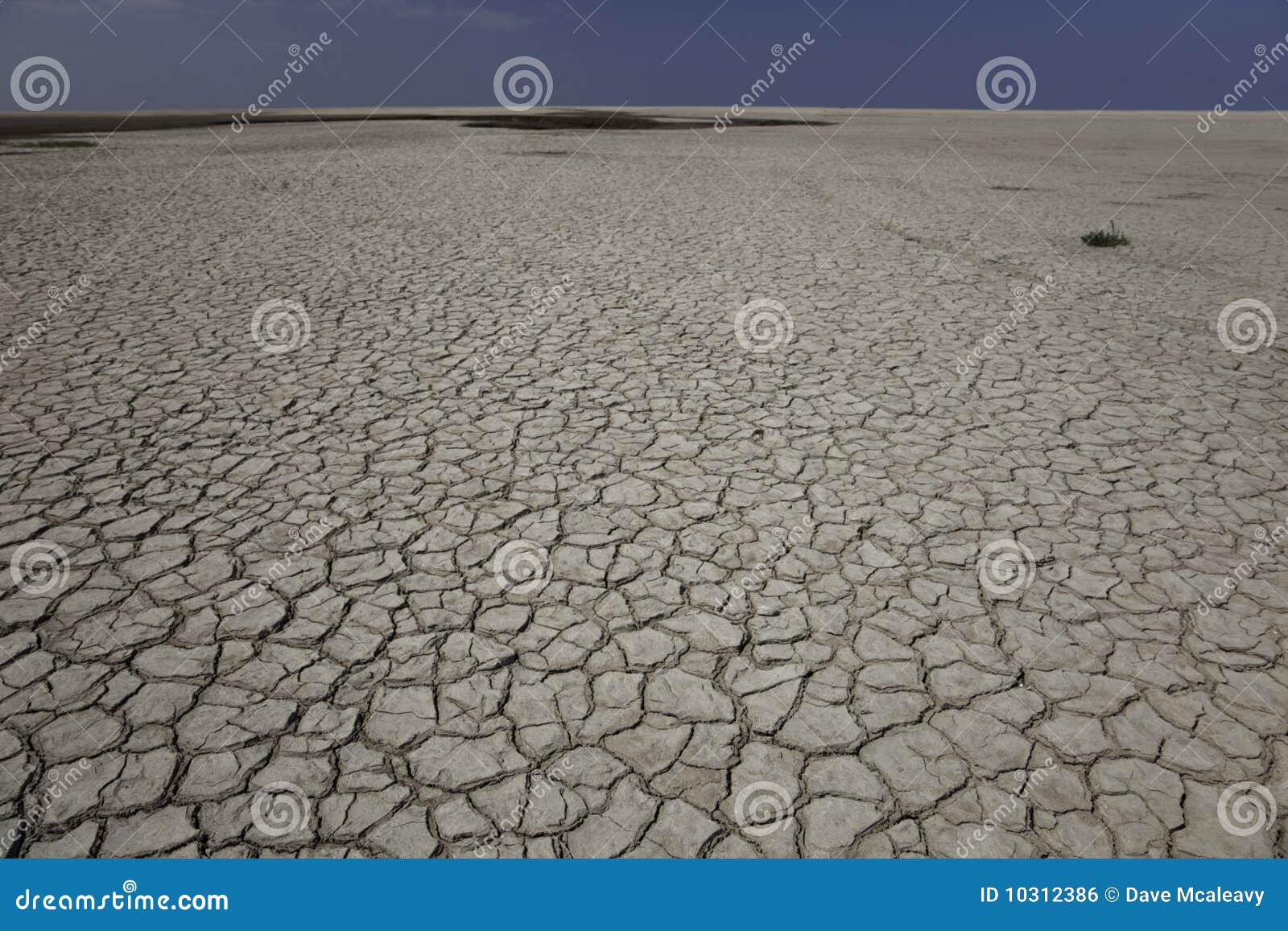 Dry Landscape stock photo. Image of weather, parched - 10312386
