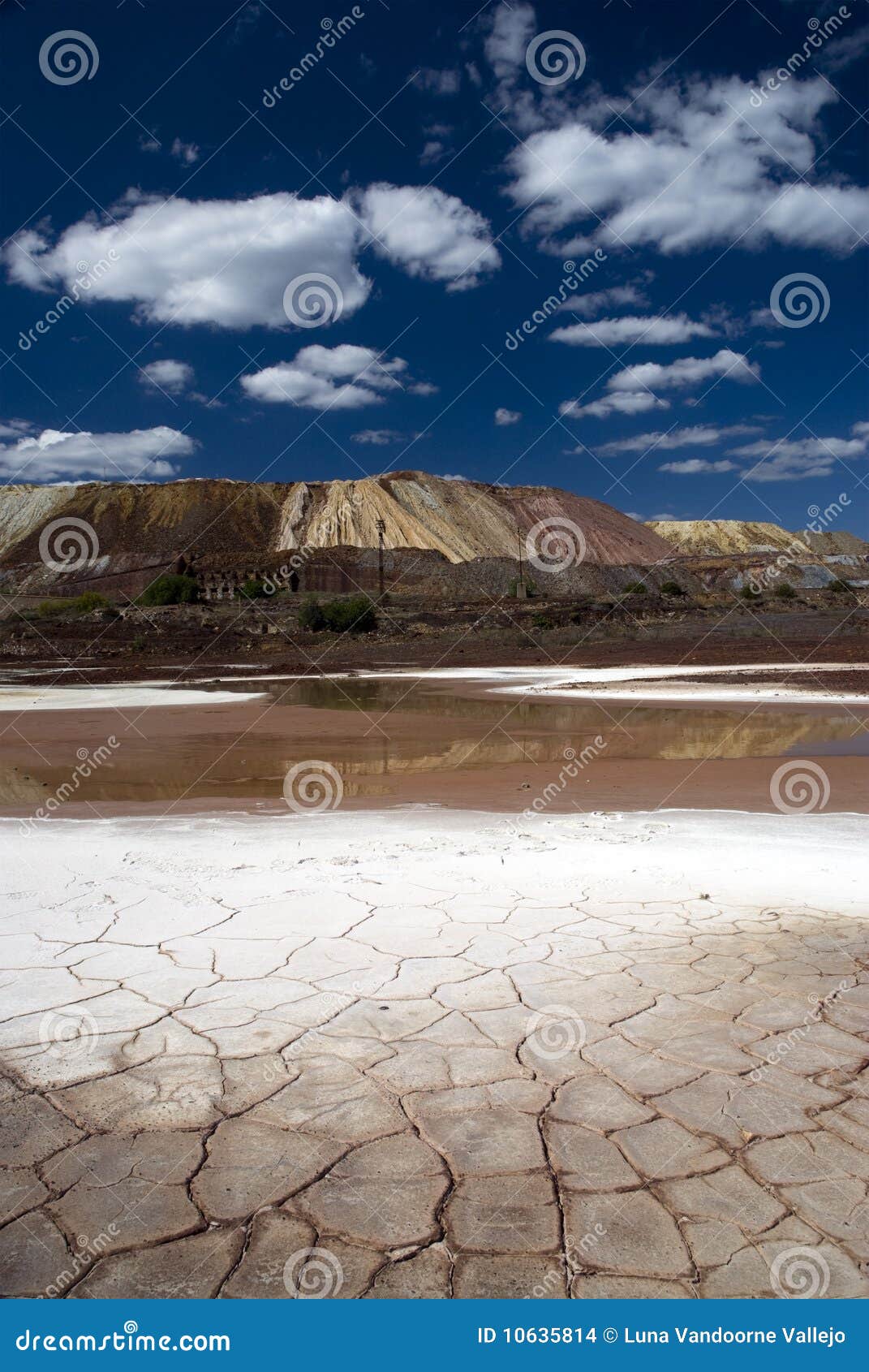 Dry landscape stock photo. Image of fissure, cleft, dead - 10635814