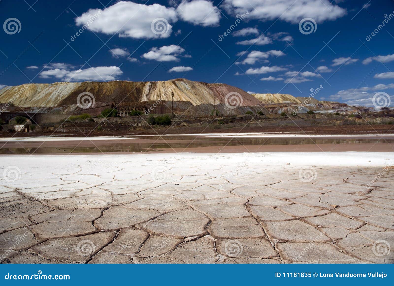 Dry landscape stock image. Image of ground, golden, global - 11181835