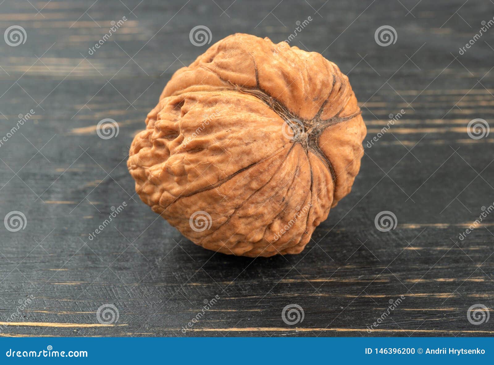 Dry large walnut stock photo. Image of kernel, closeup - 146396200