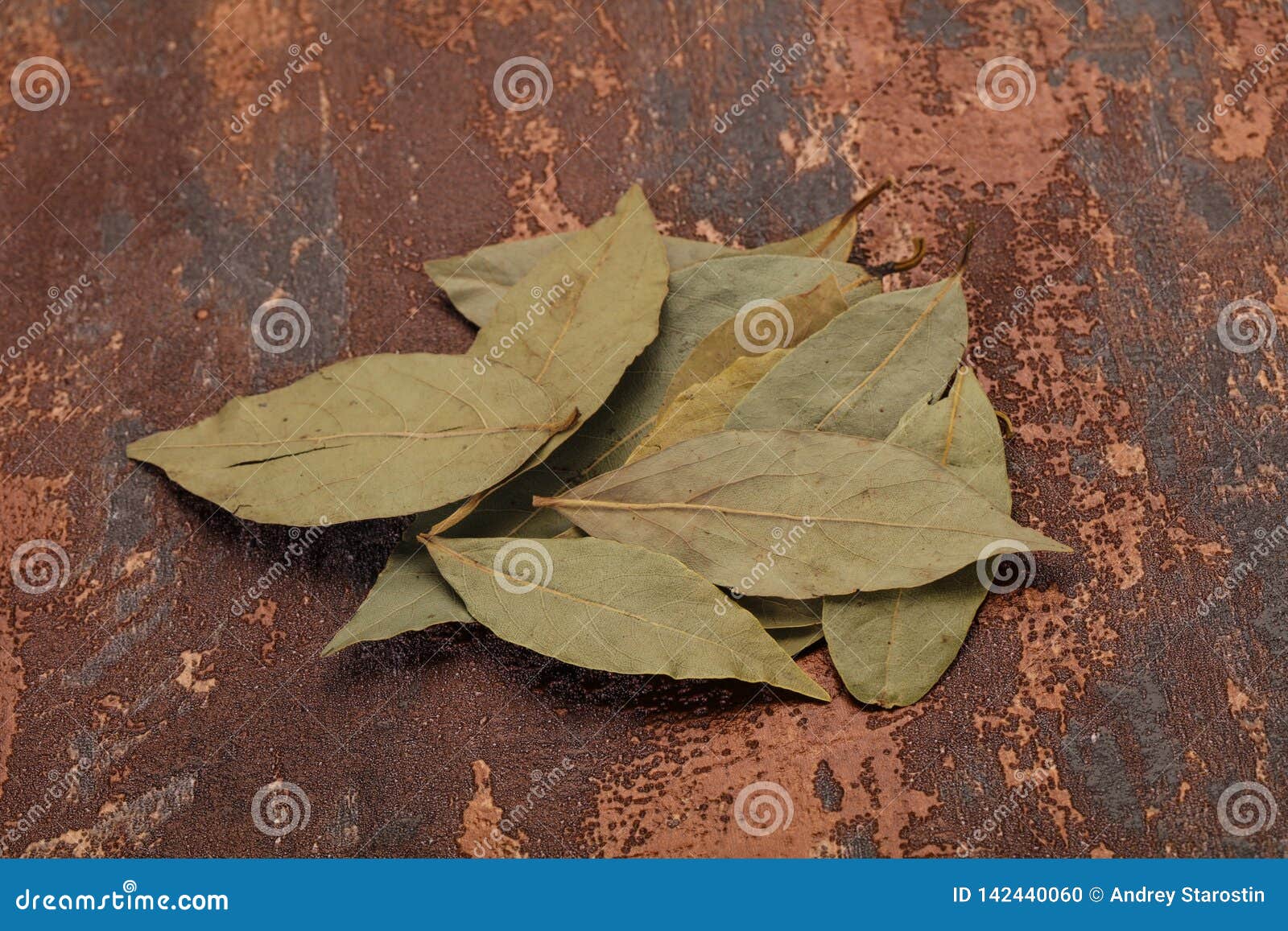Dry laurel leaves stock photo. Image of close, ingredient - 142440060