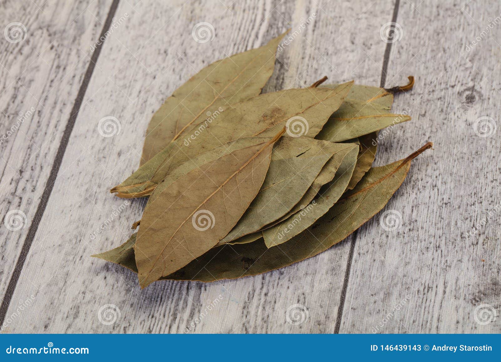 Dry laurel leaves stock image. Image of nature, seasoning - 146439143