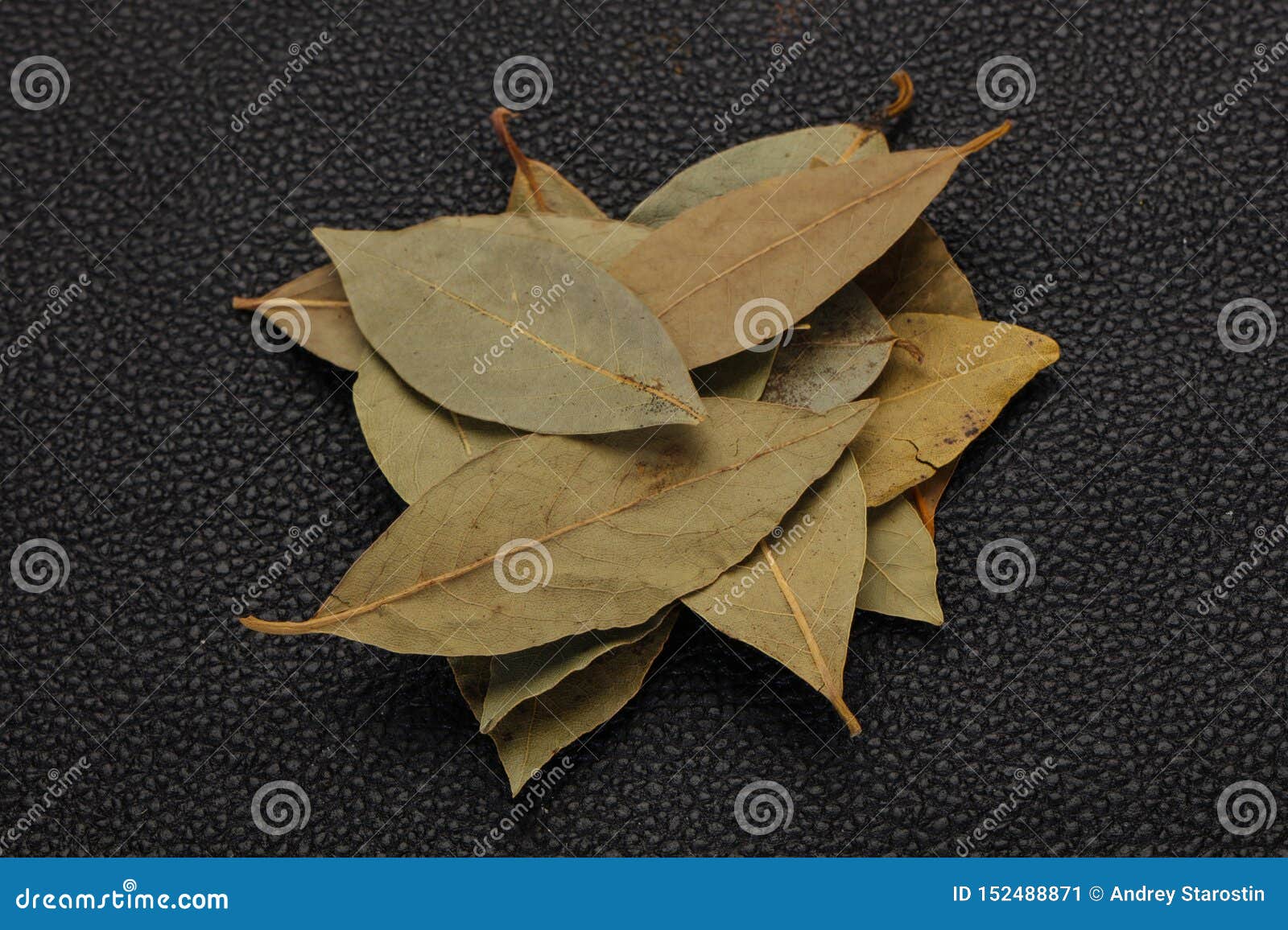 Dry laurel leaves stock image. Image of plant, natural - 152488871