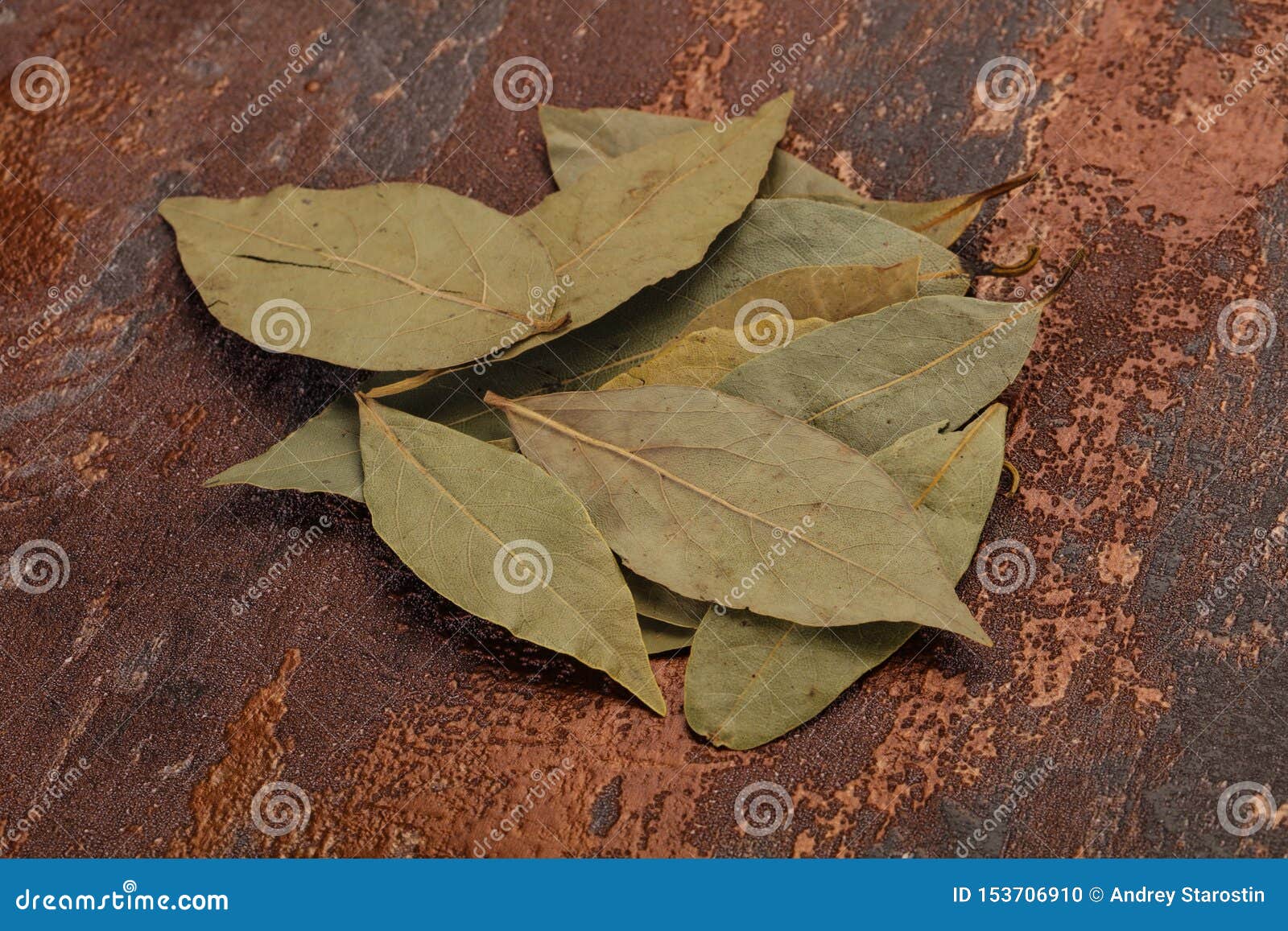 Dry laurel leaves stock photo. Image of aromatic, herbal - 153706910