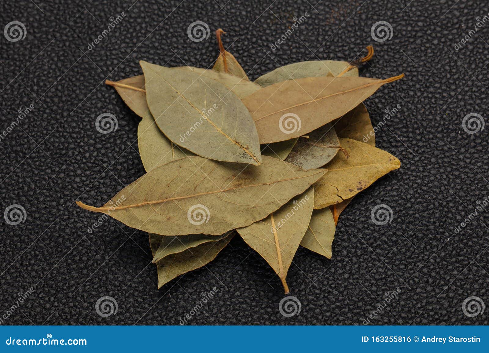 Dry laurel leaves stock photo. Image of nature, food - 163255816