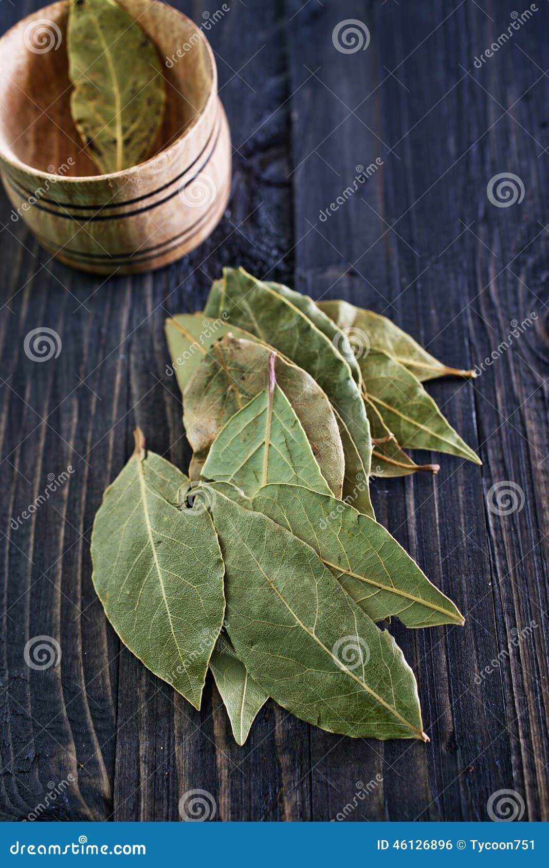 Dry laurel stock photo. Image of fresh, bayleaf, food - 46126896