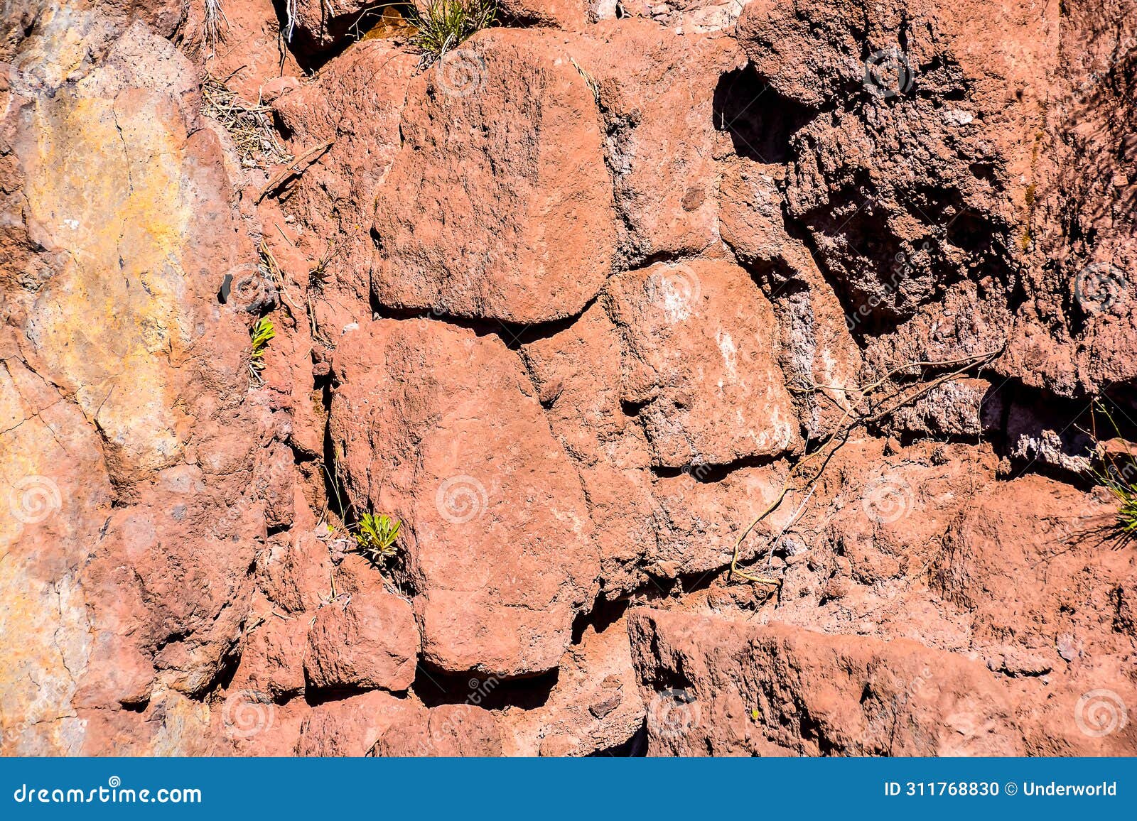 Dry Lava Basaltic Rock stock photo. Image of seamless - 311768830