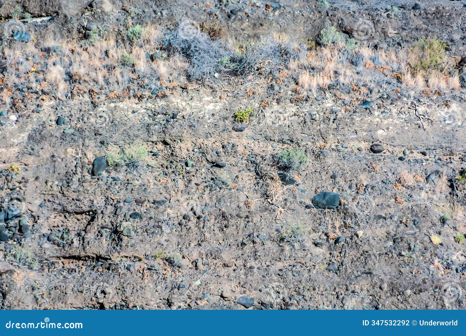 Dry Lava Basaltic Rock stock photo. Image of basalt - 347532292