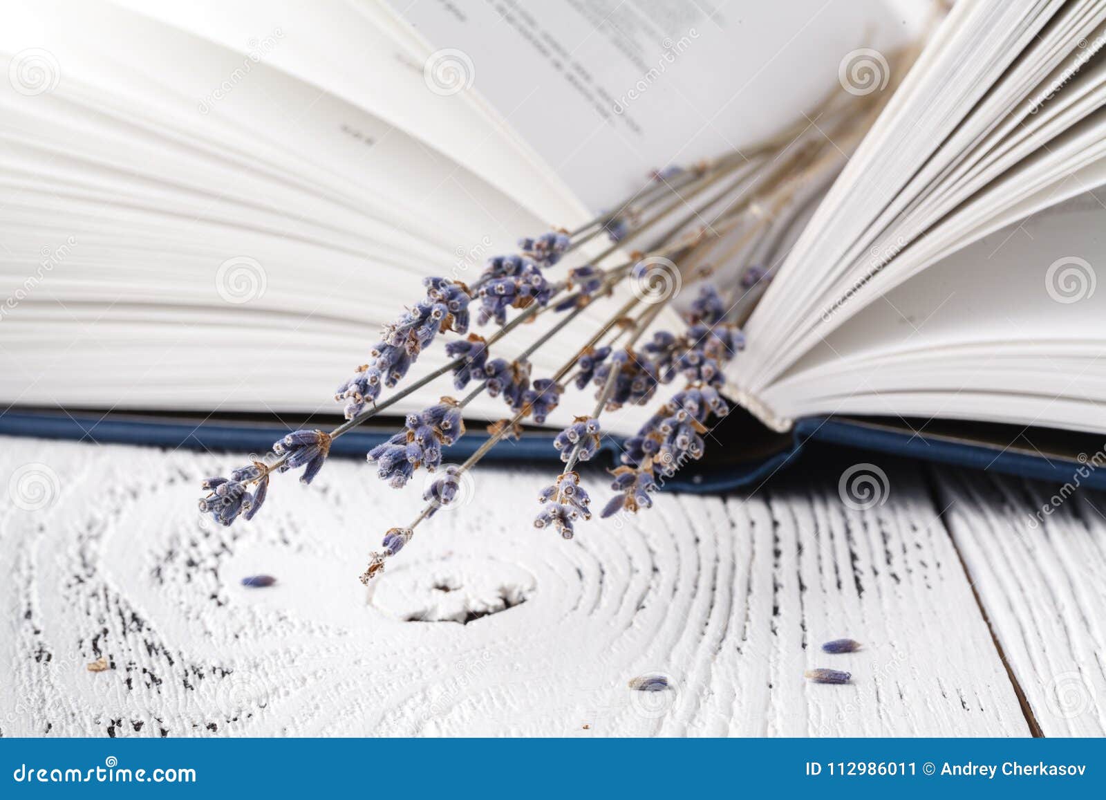 Dry lavender in the book stock image. Image of french - 112986011