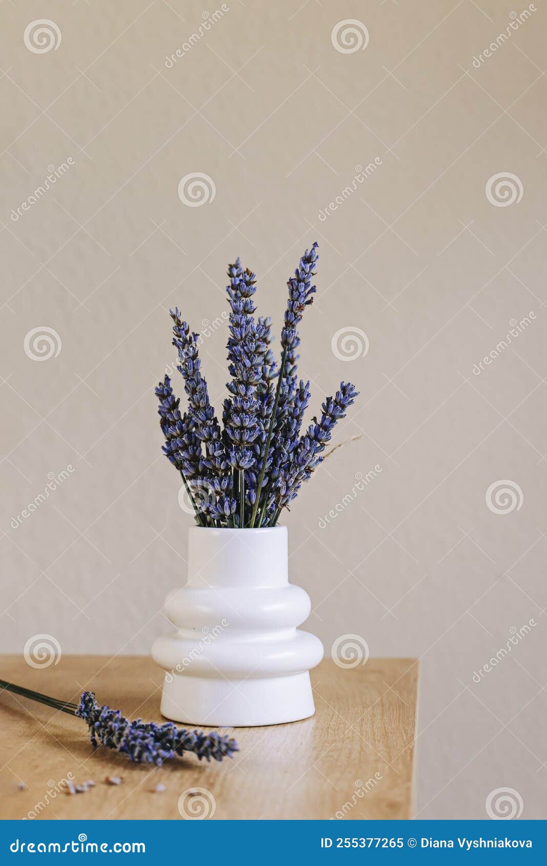 Dry Lavender Flowers in the Small White Vase Stock Image - Image of ...