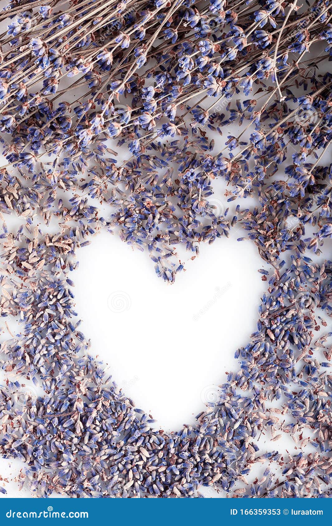 Dry Lavender - Heart Shape Border Frame Stock Image - Image of macro ... Dry Lavender - Heart Shape Border Frame Stock Image - Image of macro ...