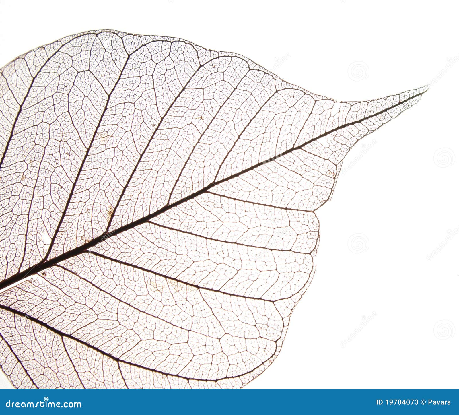 The Detail Texture Of Gray Marble Material Royalty-Free Stock Image ...