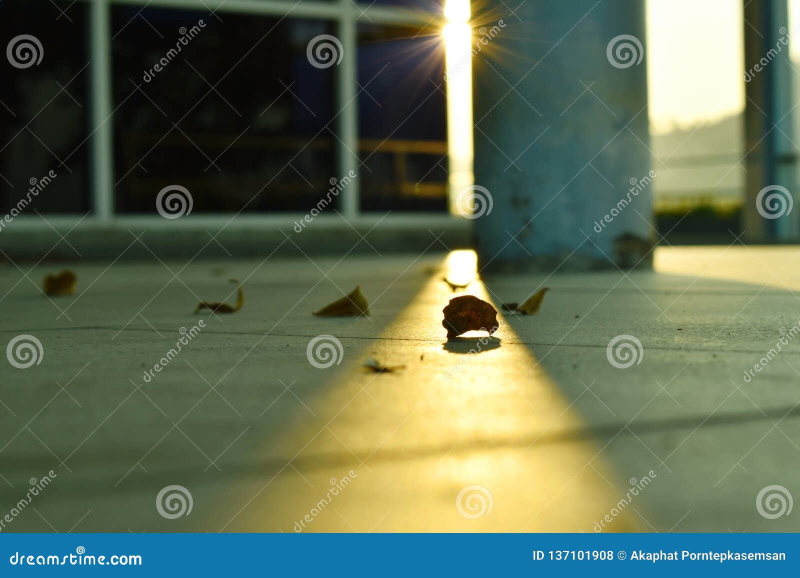 Youtube Falling Through Floor