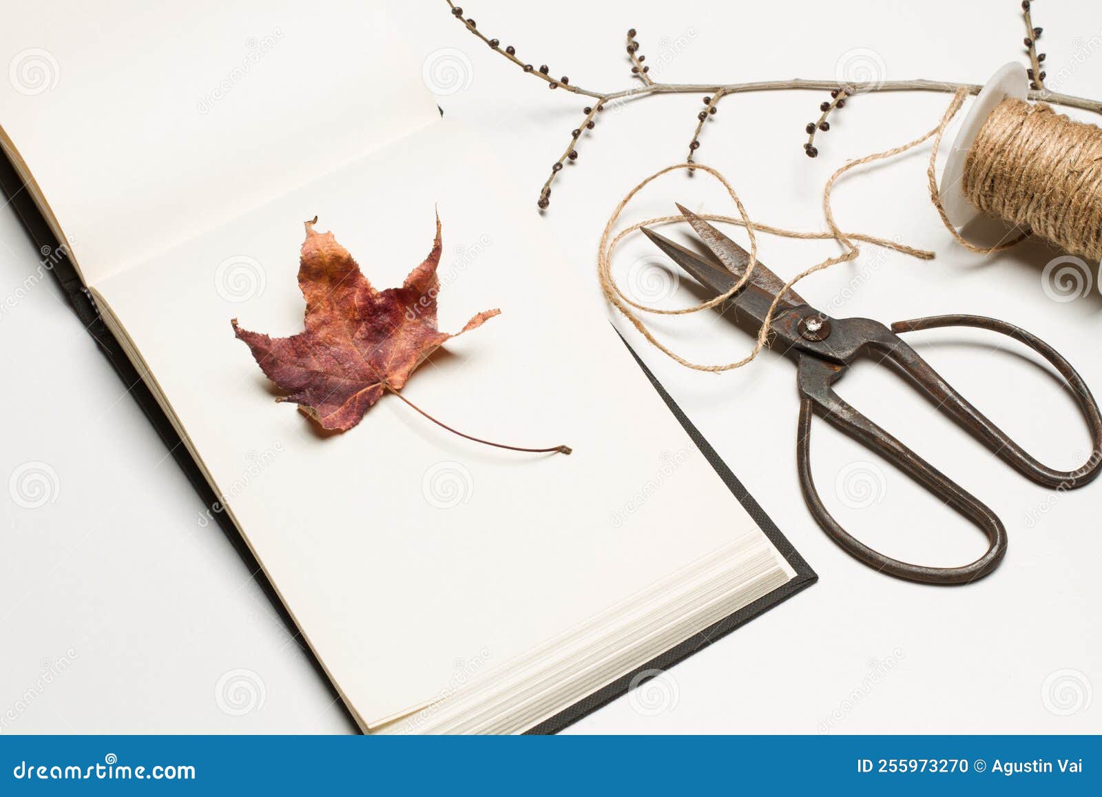 Dry Leaf on an Open Notepad with Scissors and Sisal Thread Stock Photo ...