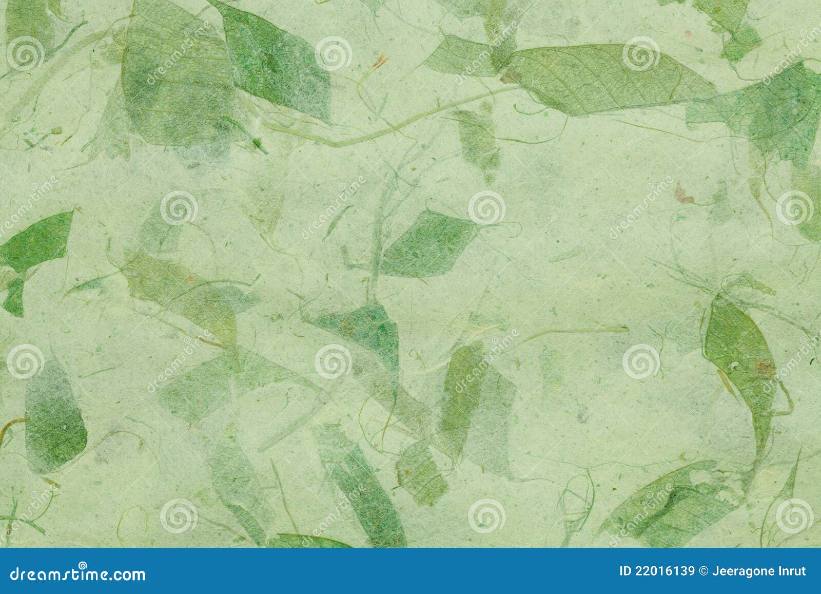 Dry leaf paper texture stock image. Image of product - 22016139