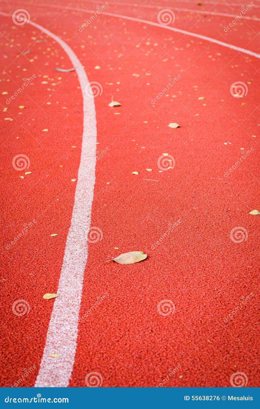 Dry leaf on runing track stock photo. Image of racetrack - 55638276
