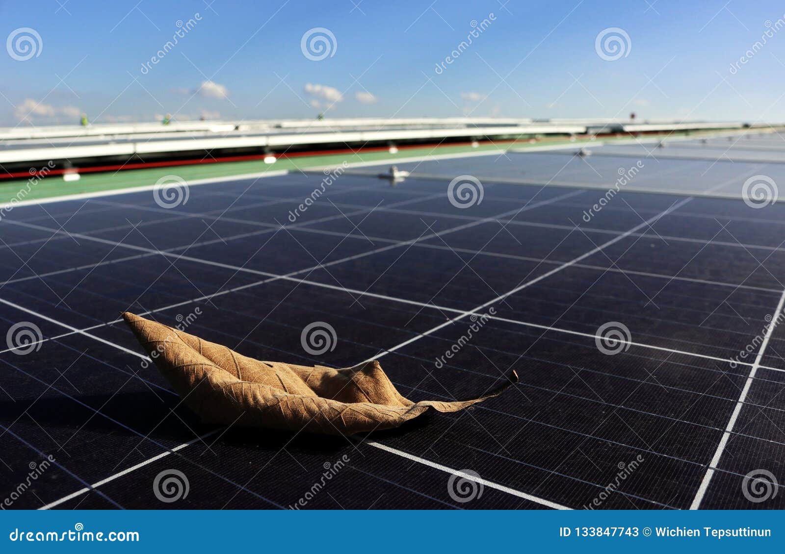 Dry Leaf on Solar Panel Surface Stock Image - Image of cleaning, tree ...