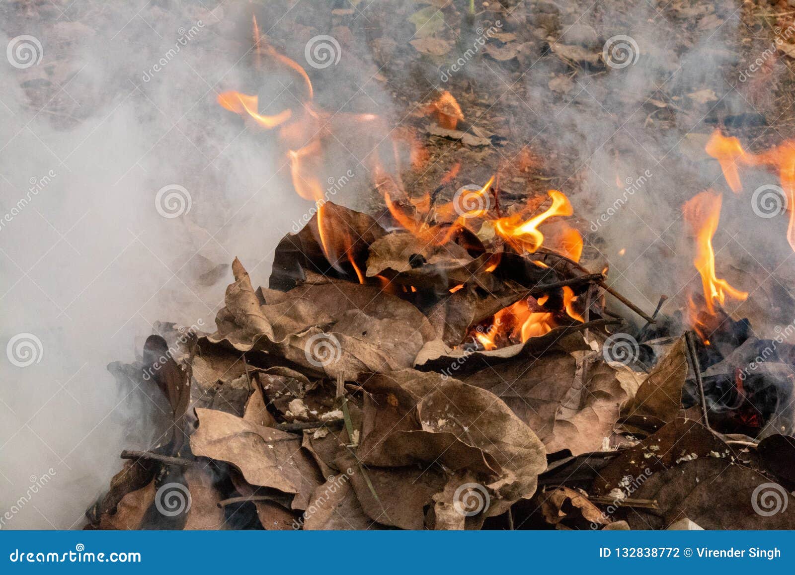 Dry Leafs Burning Producing Ash and Smoke Stock Photo - Image of design ...