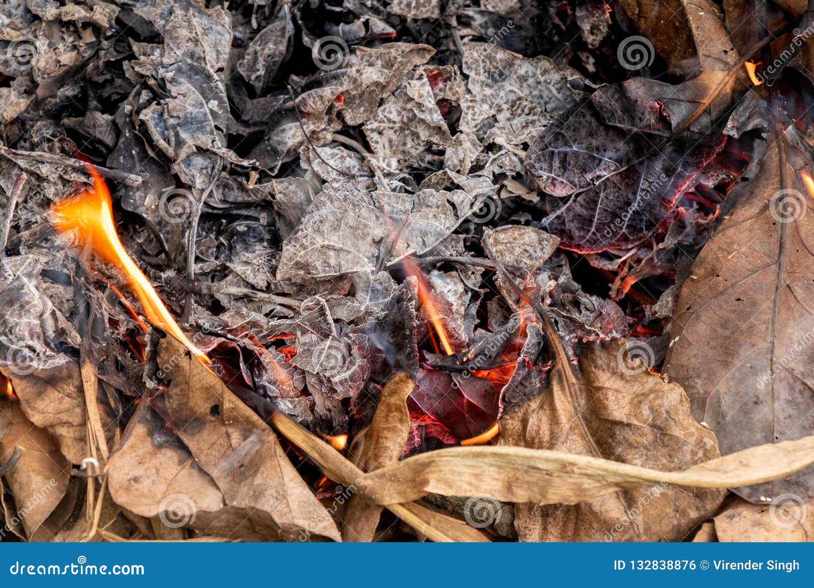 Dry Leafs Burning Producing Ash and Smoke Stock Photo - Image of black ...