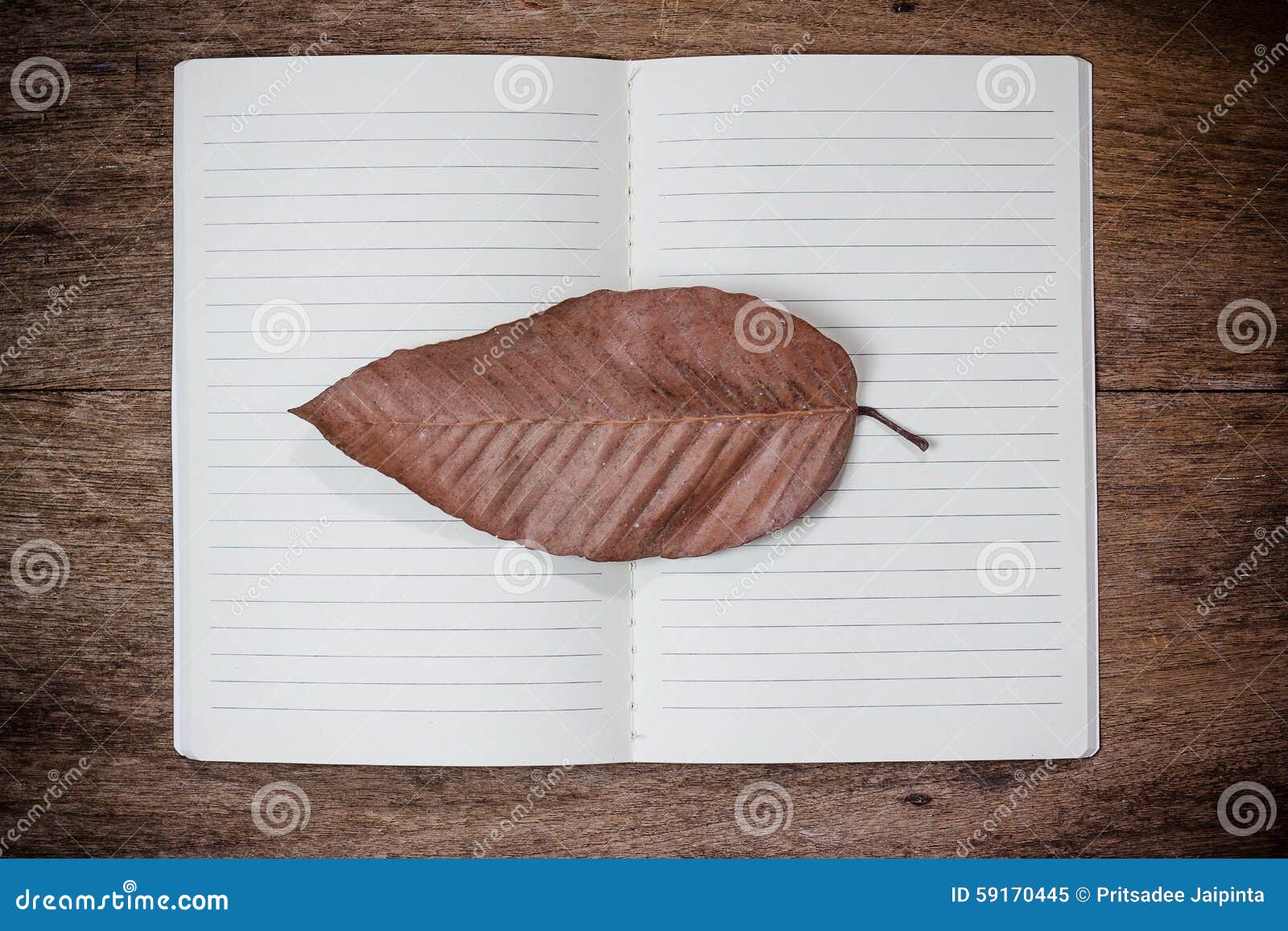 Dry Leafs Closeup on Note Book Stock Image - Image of memo, autumn ...