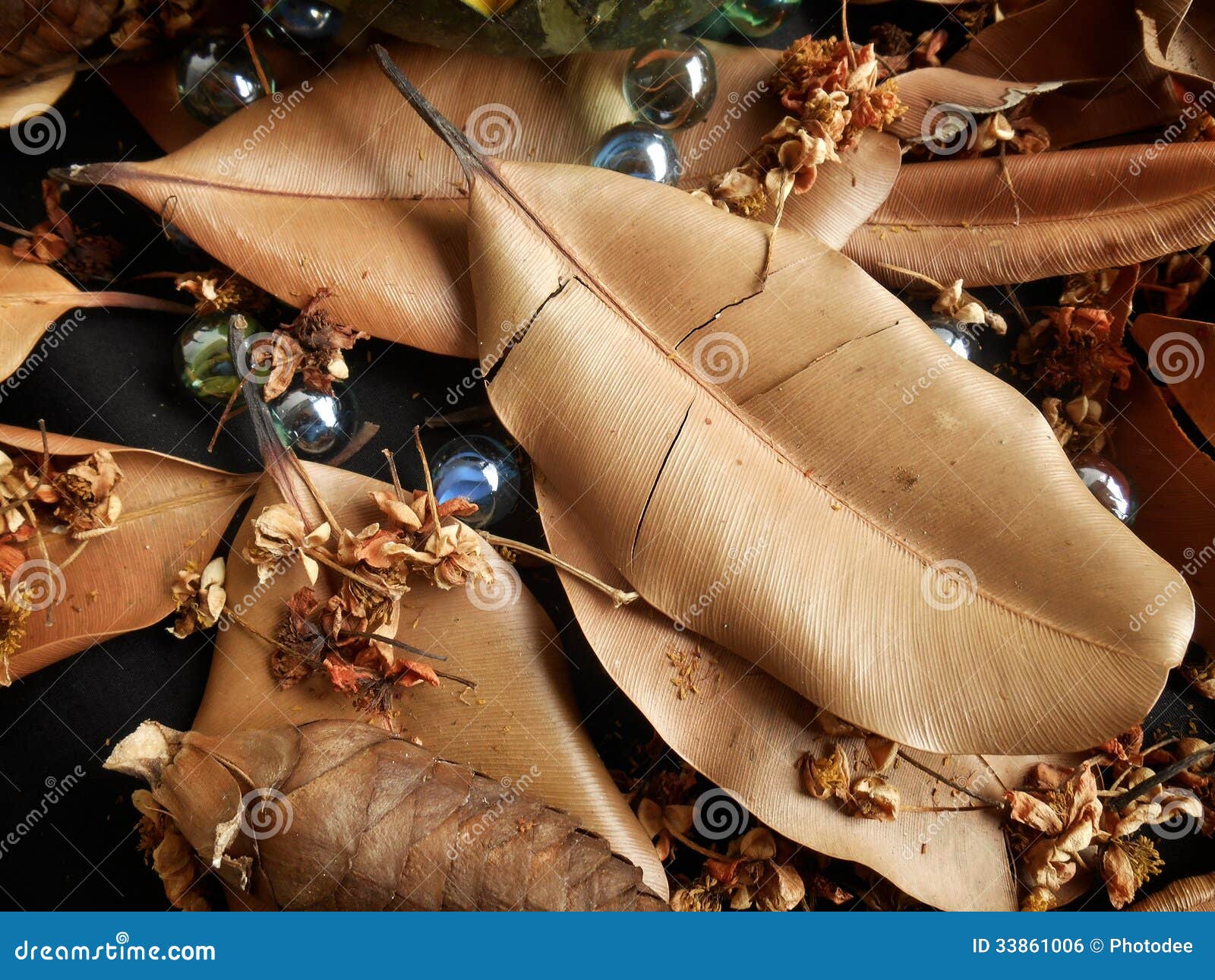 Dry leaves background stock photo. Image of texture, dead - 33861006