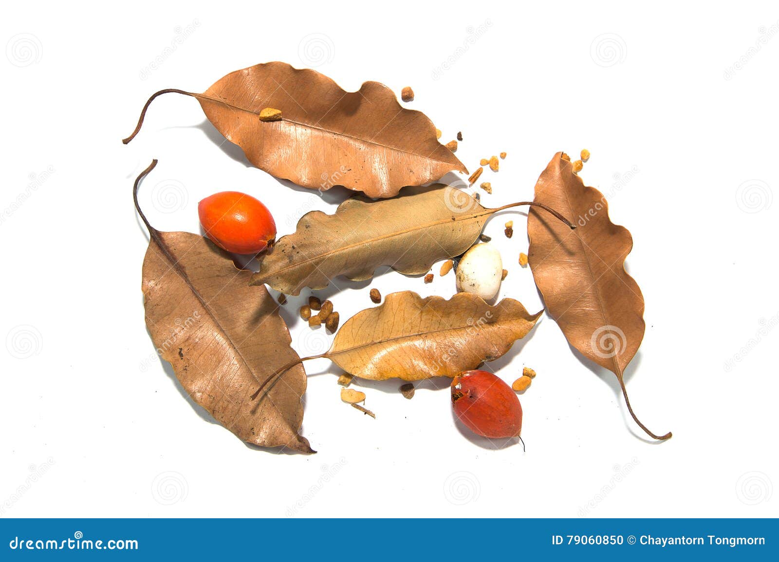 Marijuana Border Design Stock Photos - Free & Royalty-Free Stock Photos ...