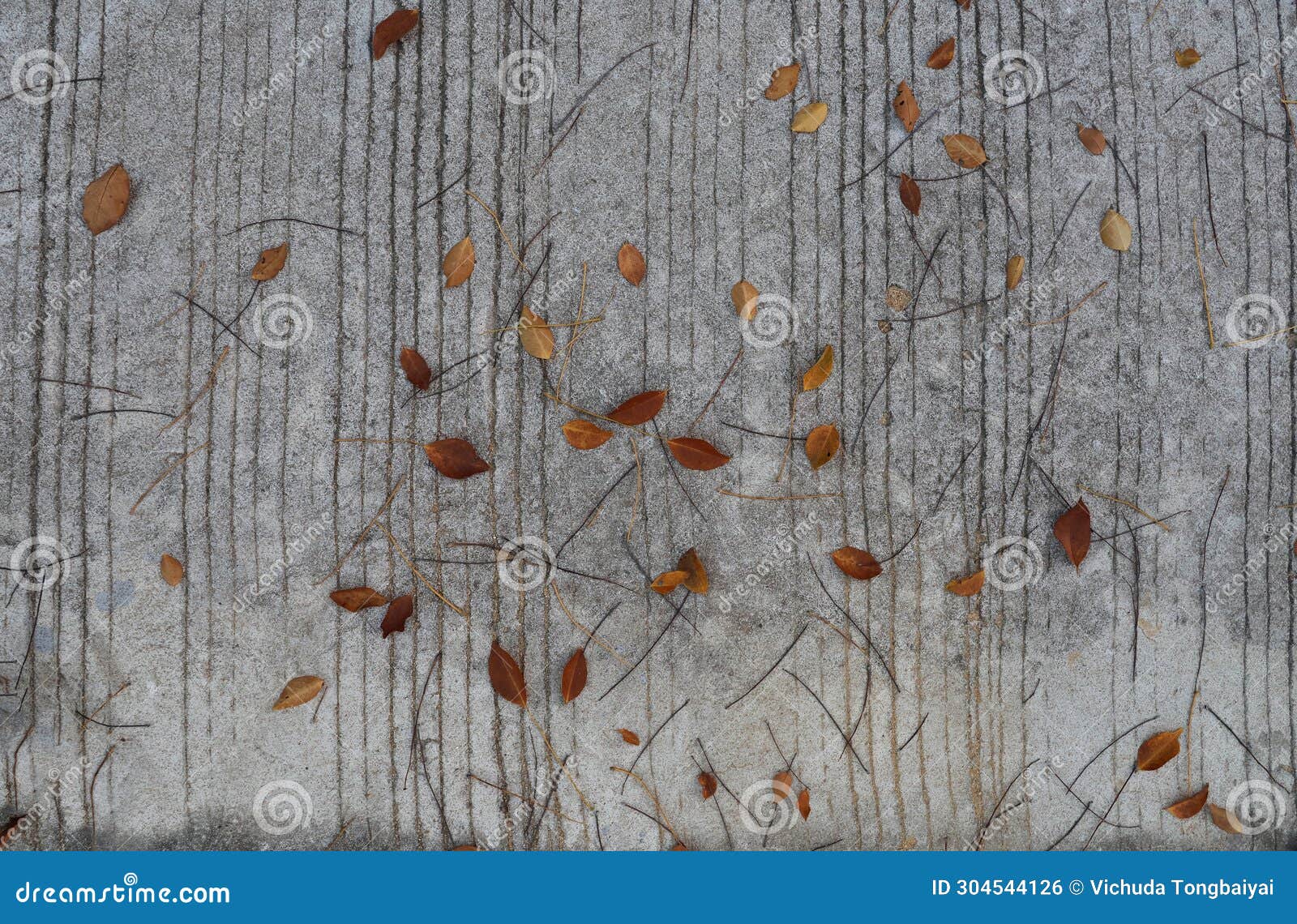 The Dry Leaves Fall on the Concrete Walkway Beautiful Texture Stock ...