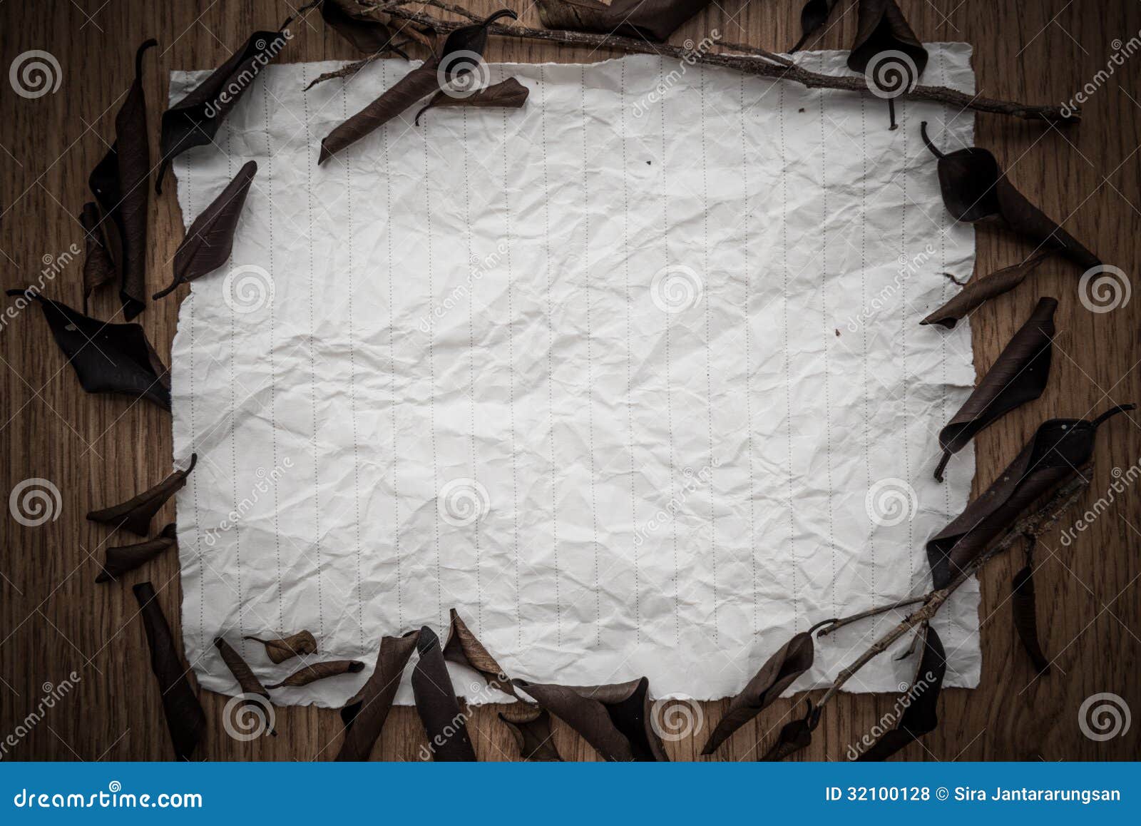 Dry leaves on an old paper stock photo. Image of grunge - 32100128