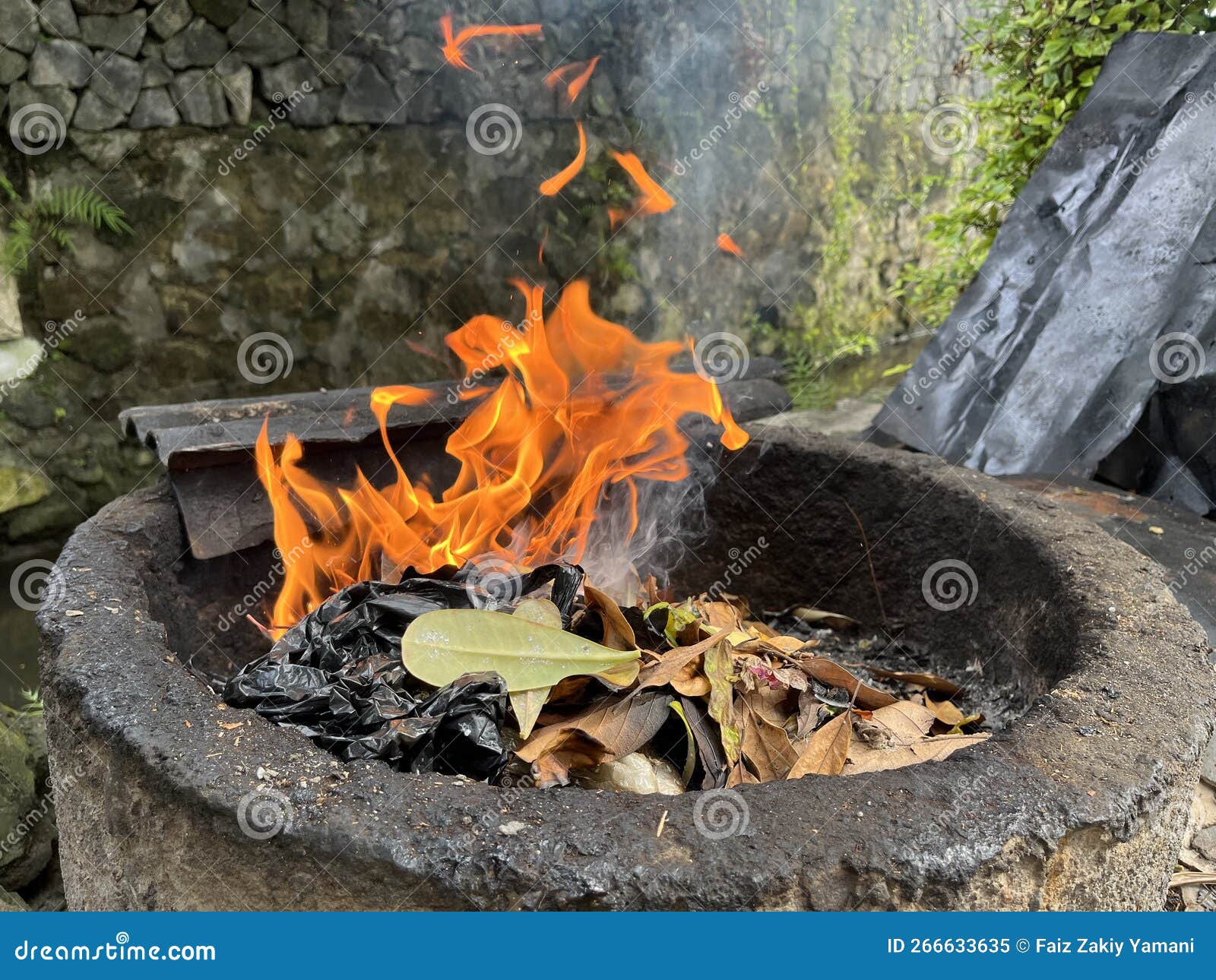 Burned Dry Leaves with Fire and Smoke. Stock Image - Image of nature ...