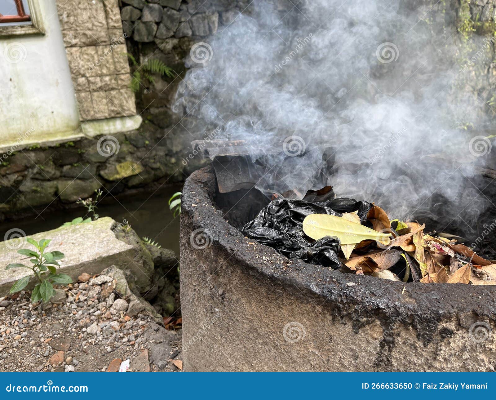 Burned Dry Leaves with Fire and Smoke. Stock Photo - Image of natural ...