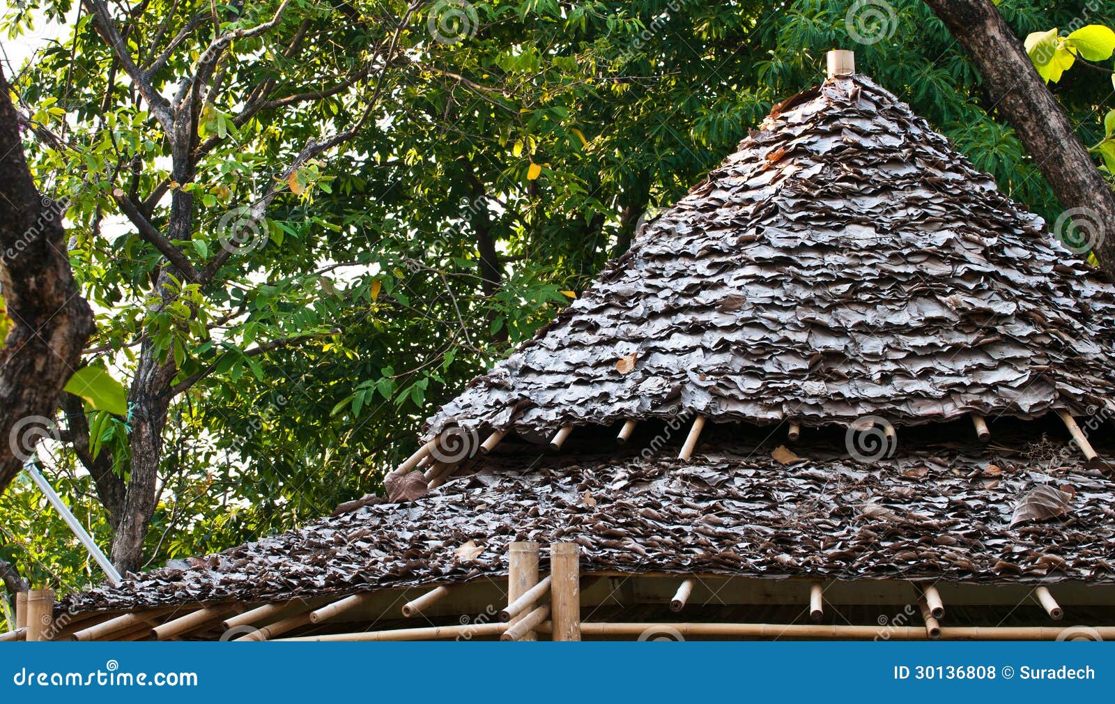Dry leaves roof stock photo. Image of leave, home, nature - 30136808