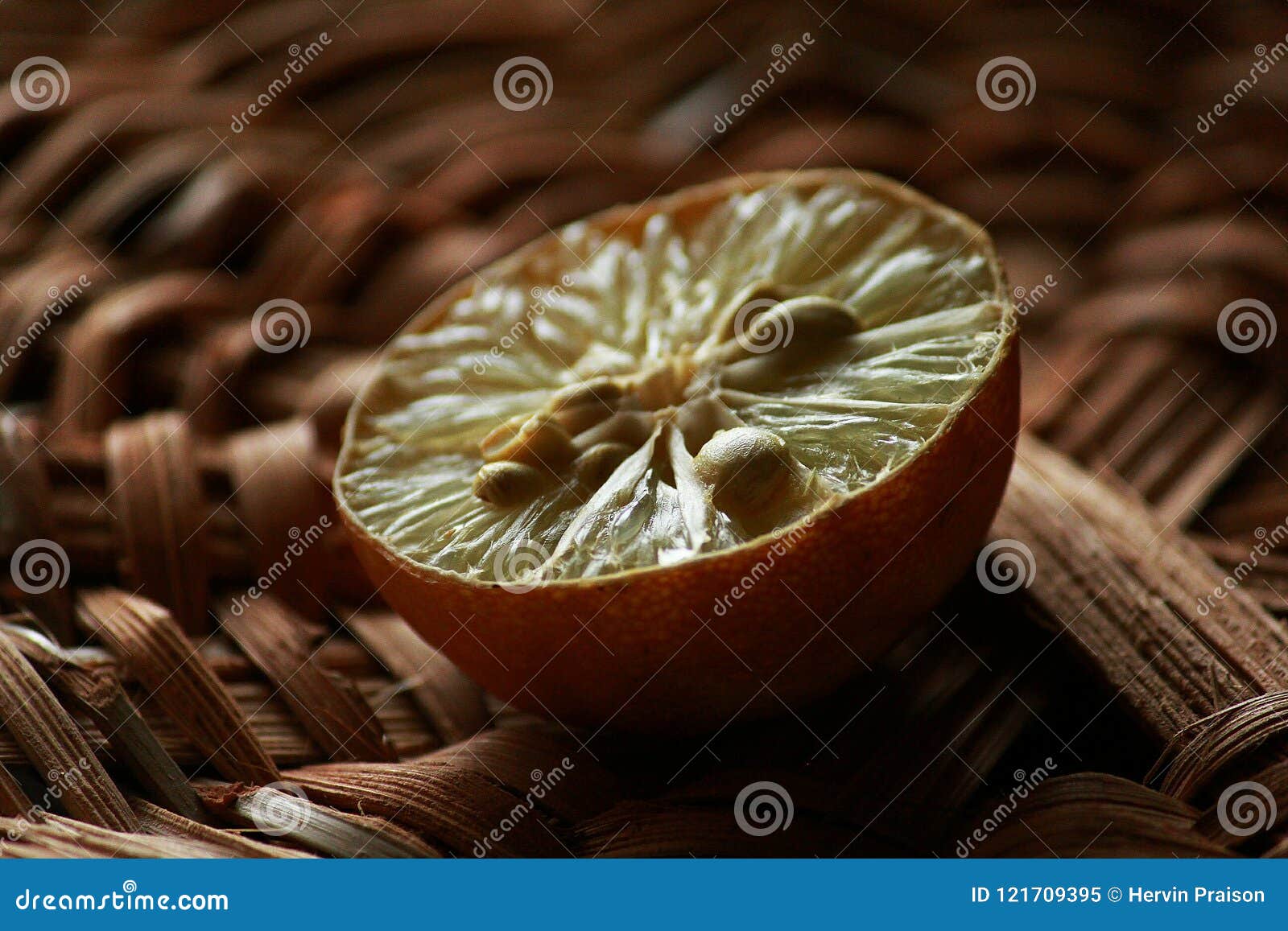 Dry lemon stock image. Image of lemon, rotten, dried - 121709395