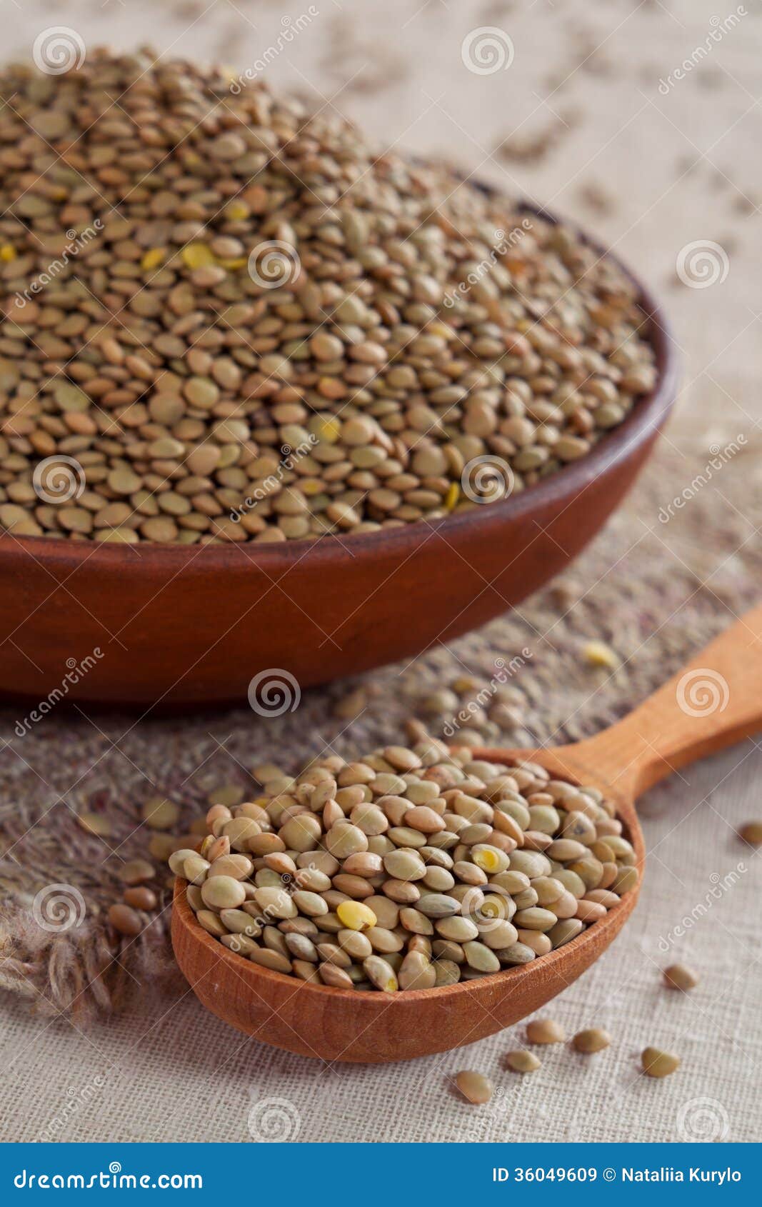 Dry lentils stock image. Image of eating, agriculture - 36049609