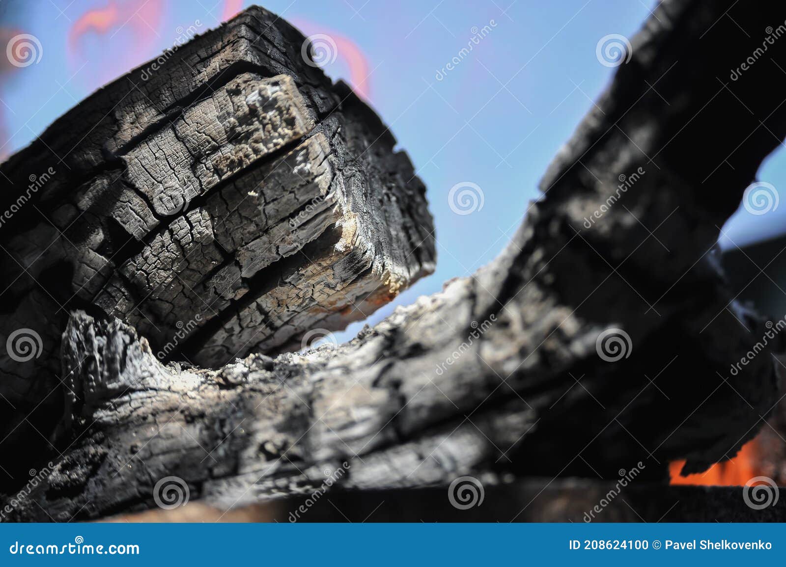 Dry logs burn on fire stock photo. Image of flame, suburb - 208624100