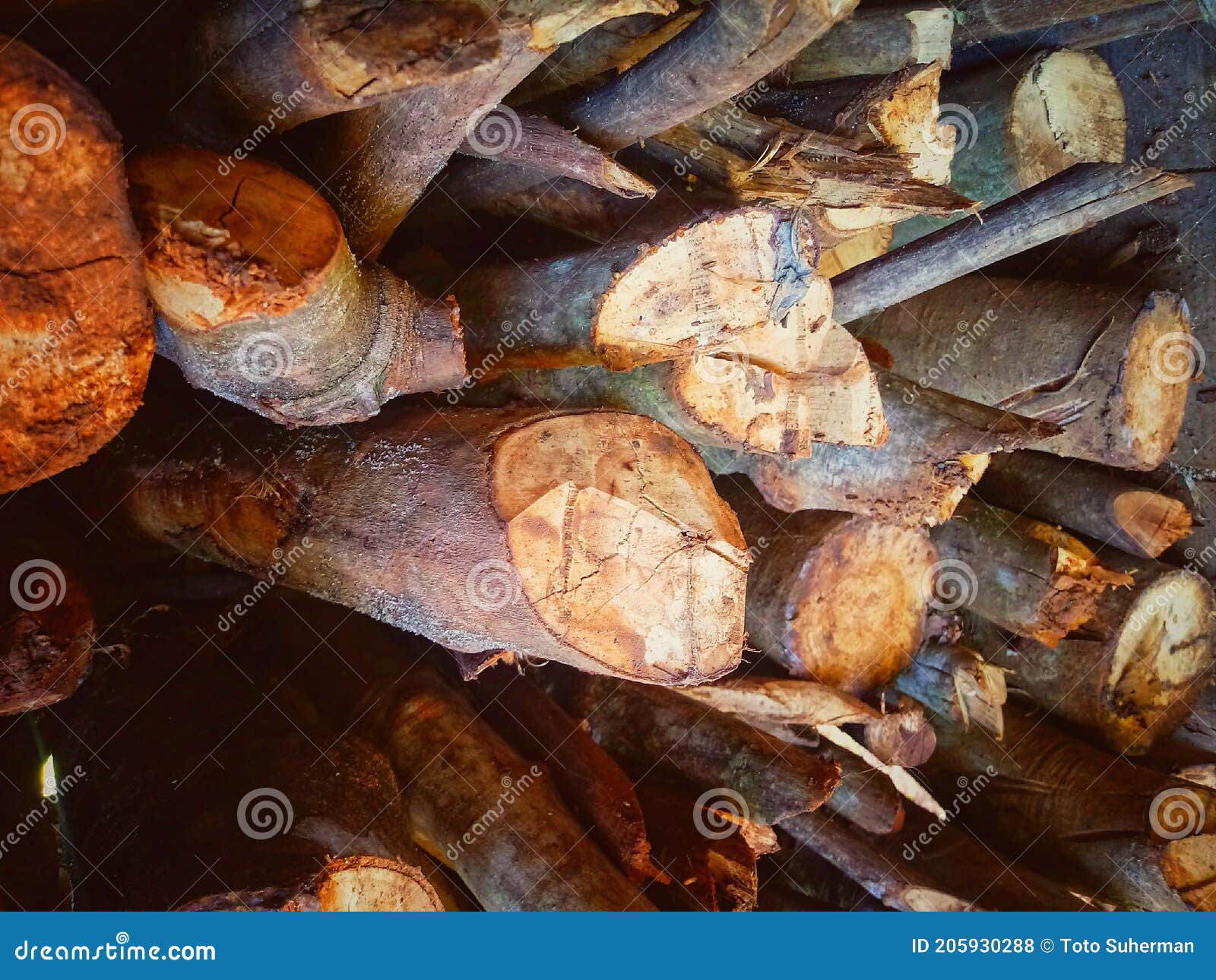 Dry Logs that Undergo a Drying Process Stock Photo - Image of meat ...