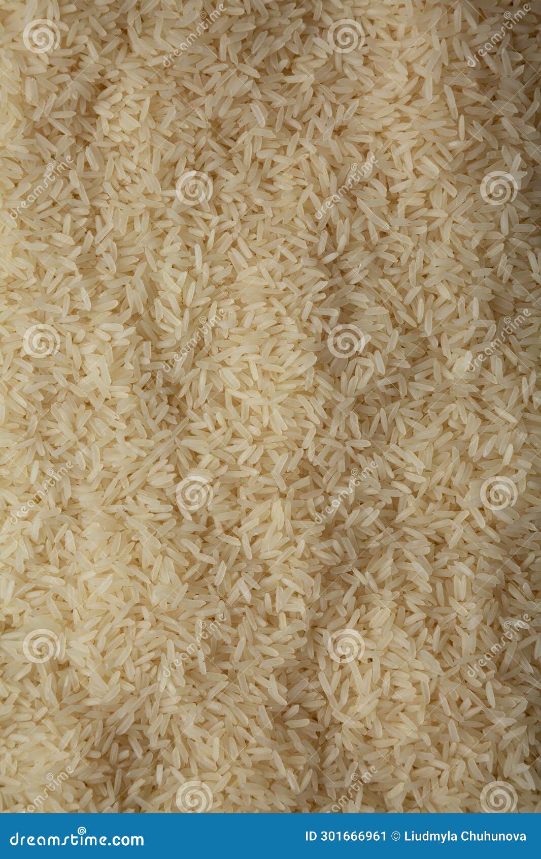 Dry Long Grain Jasmine Rice Stock Image - Image of dieting, oriental ...