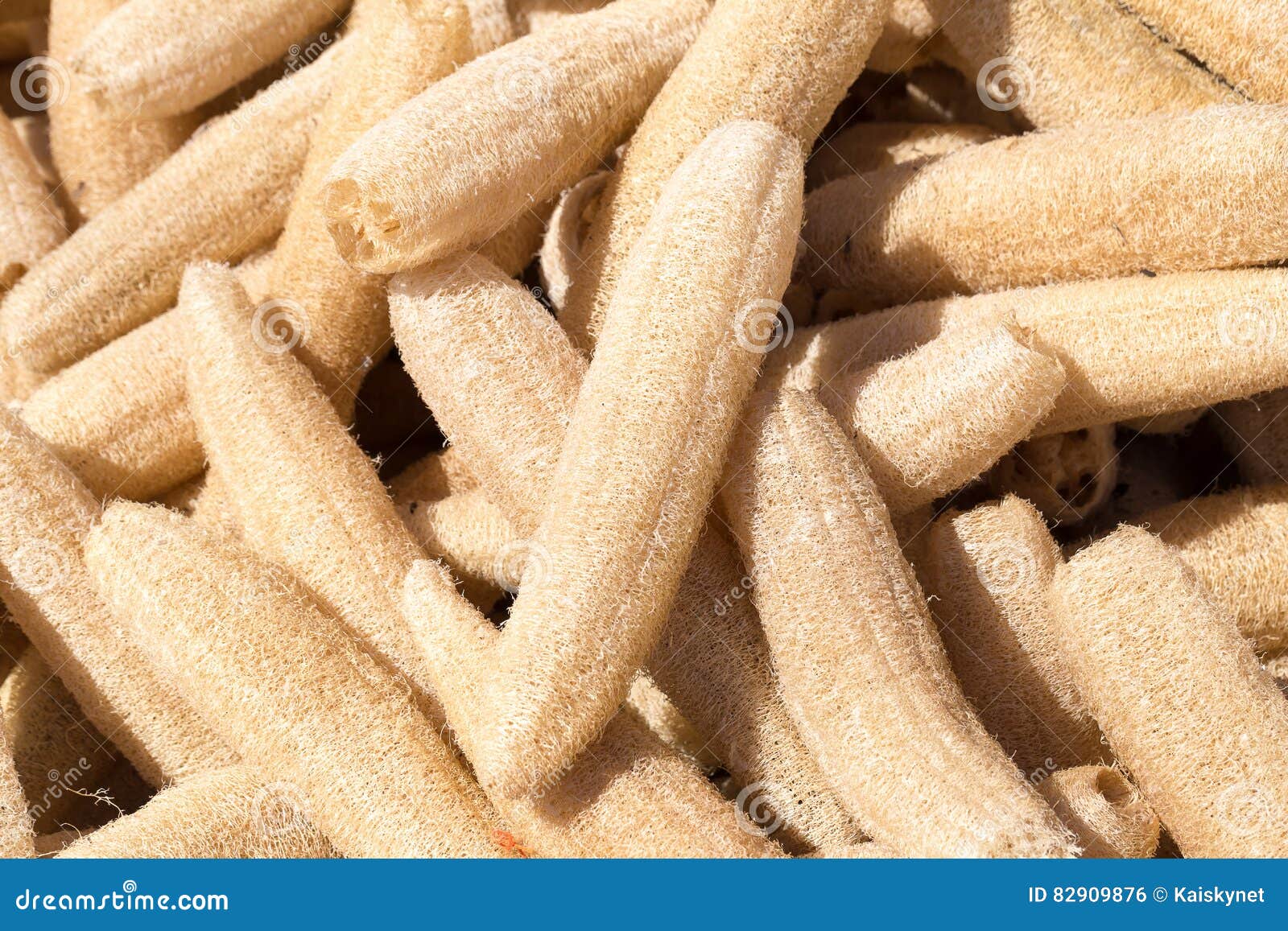 Dry Luffa Cylindrica stock photo. Image of gourd, color - 82909876