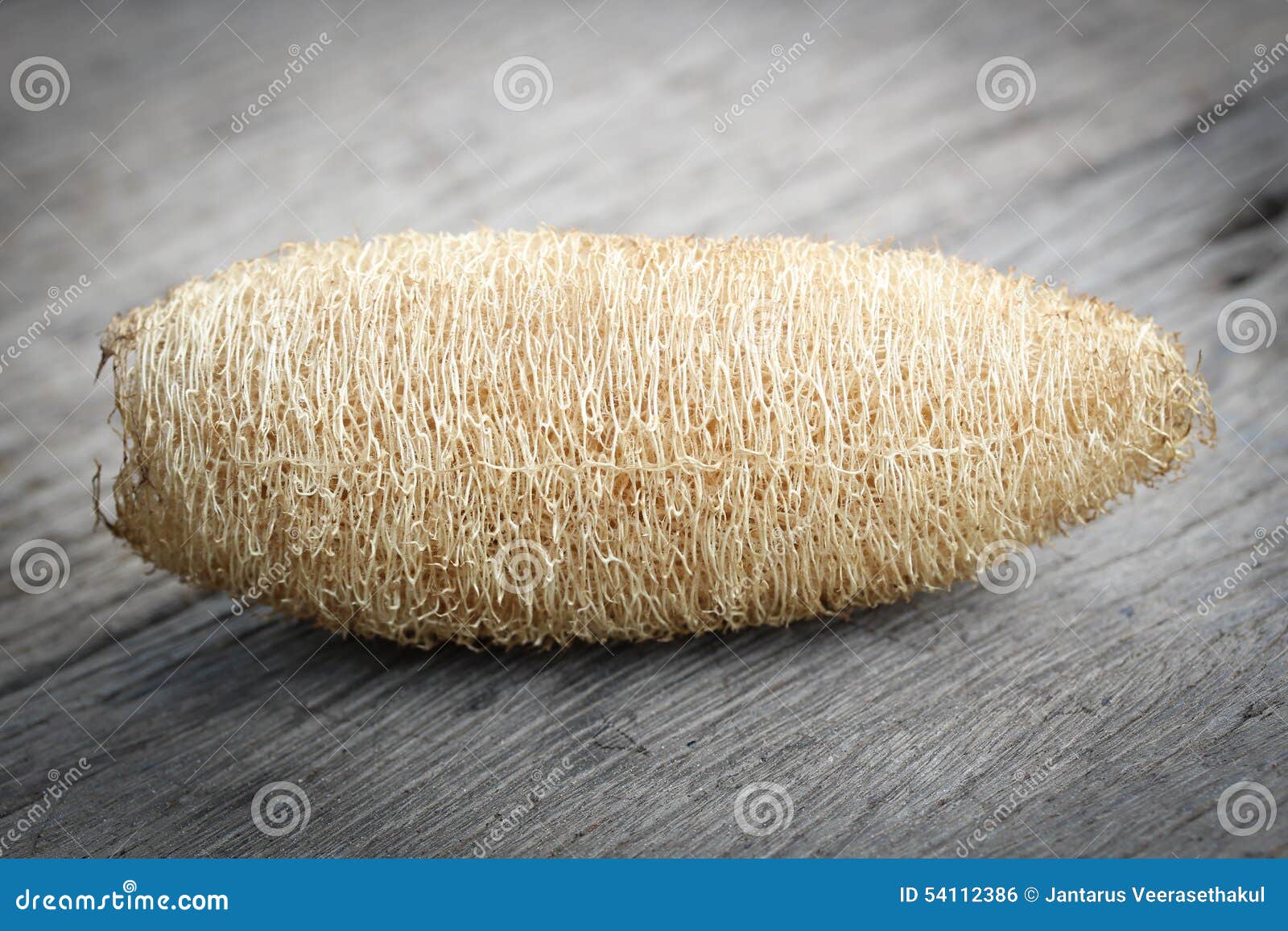 Dry Luffa stock photo. Image of gourd, luffa, closeup - 54112386