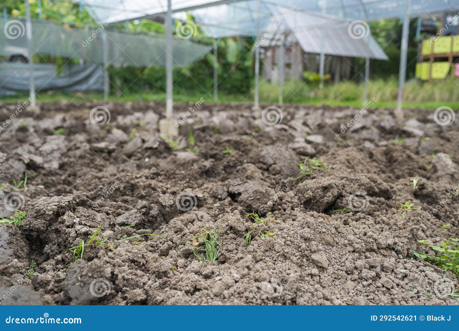 Dry Lumpy Soil, Soil for Growing Vegetables Stock Image - Image of ...