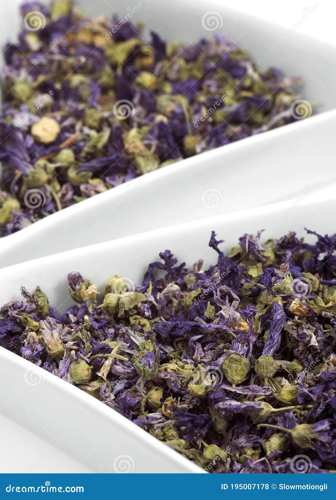 DRY MALLOW FLOWER for INFUSION Stock Photo - Image of indoors, botany ...