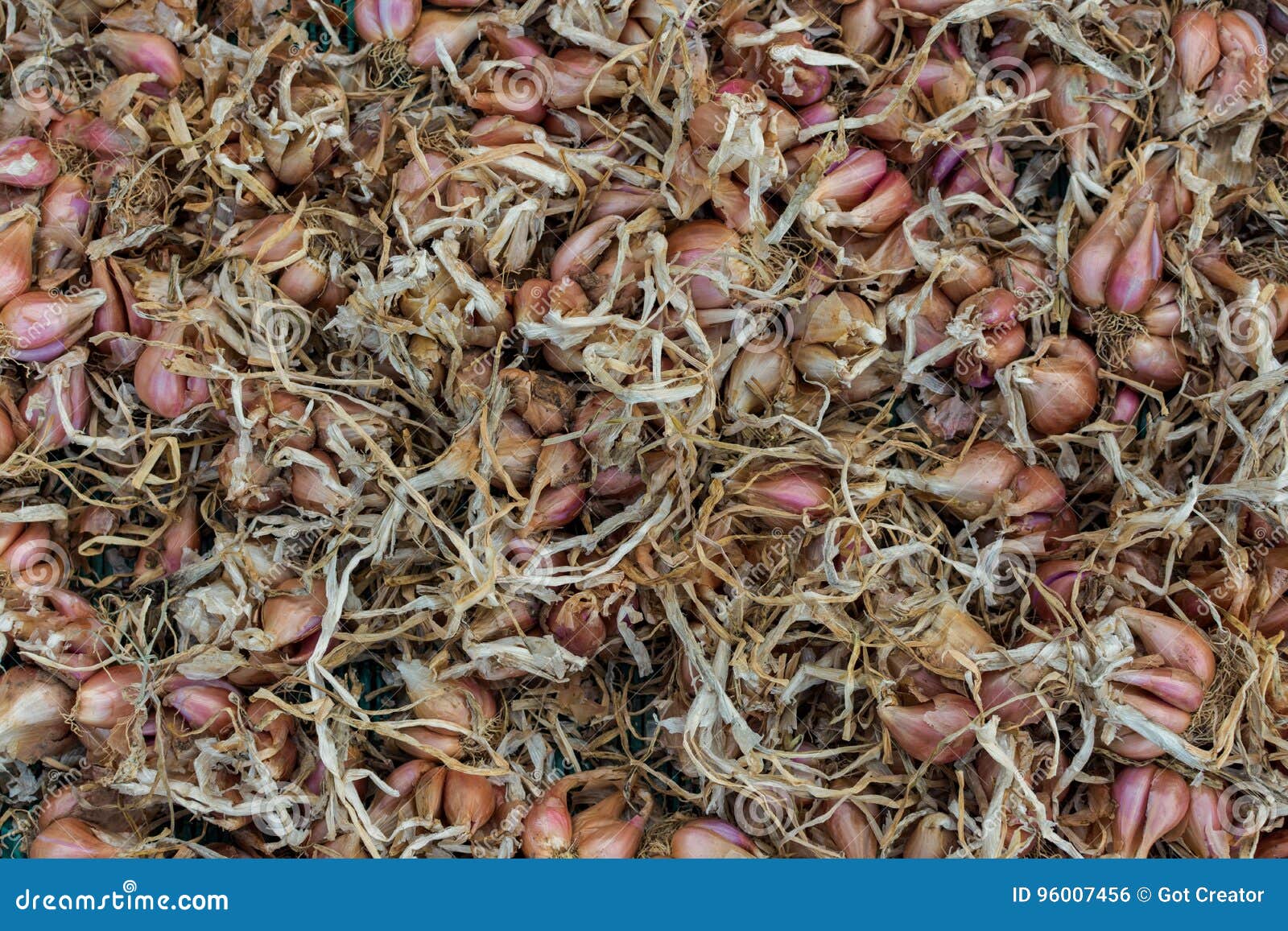 Dry Many Shallot, Top View Image Stock Photo - Image of nutrition ...