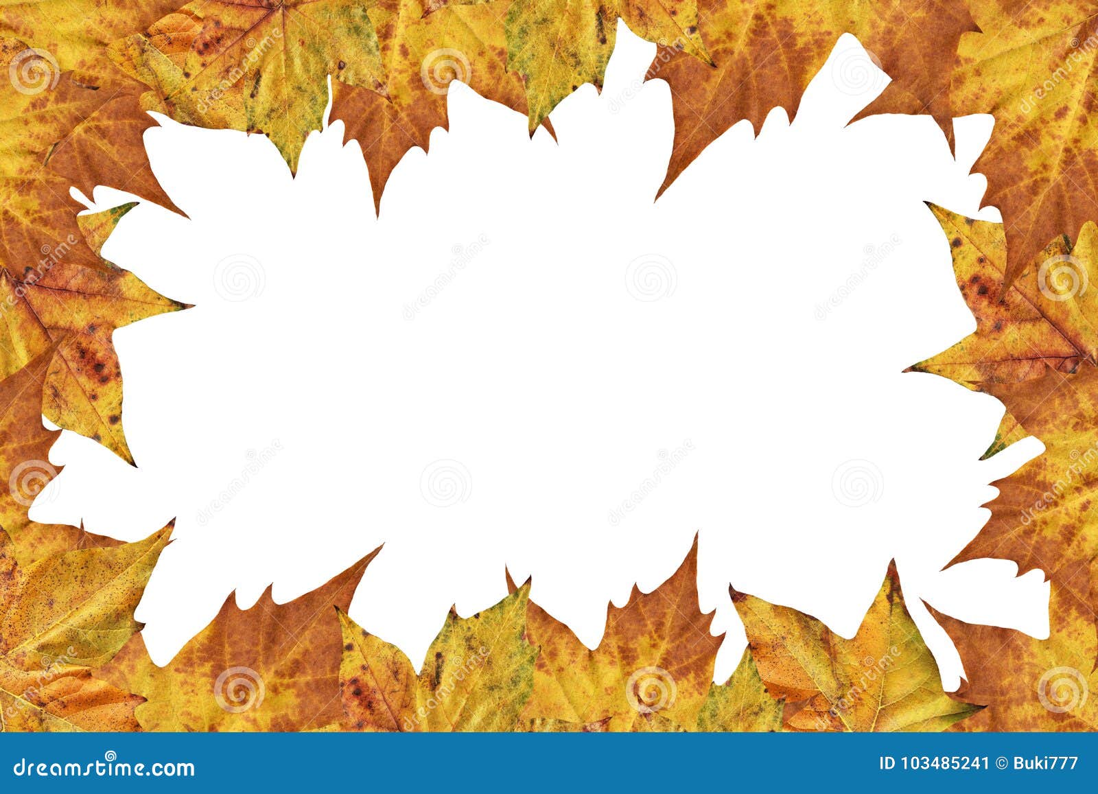 Dry Maple Leaves Border Backdrop Isolated on White Background Stock ...