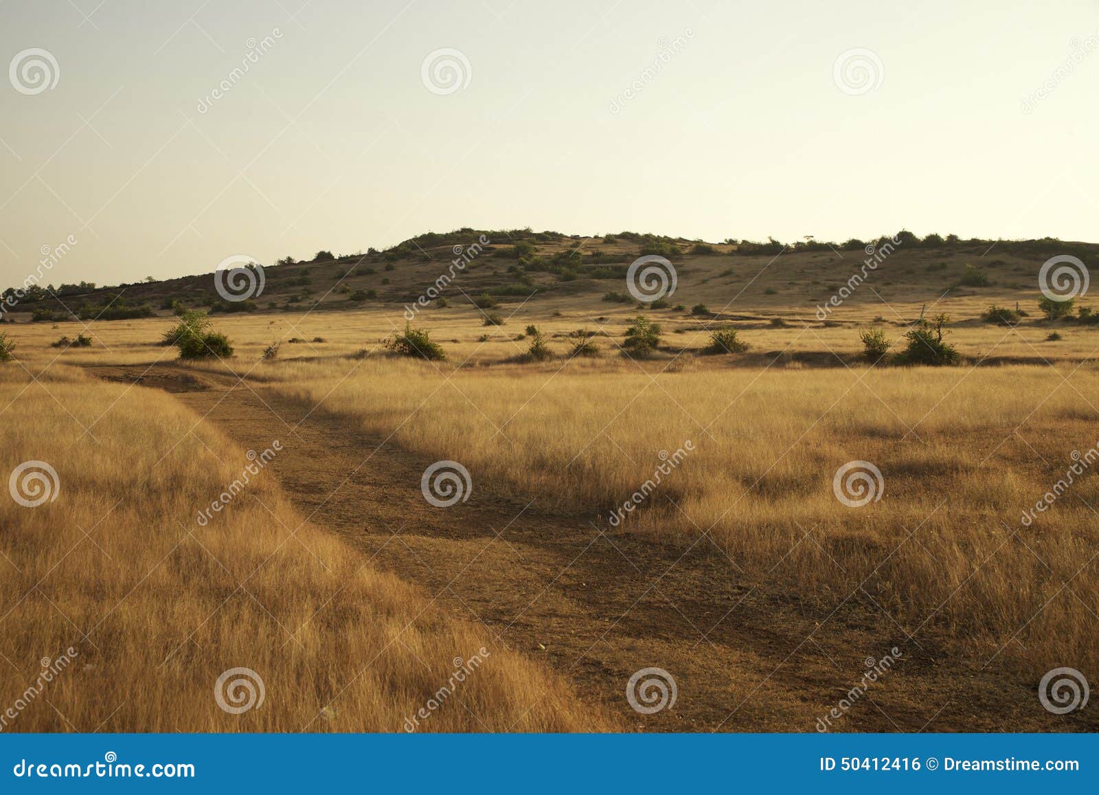 Dry Meadow with a Distant Hill and Bushes Stock Photo - Image of meadow ...