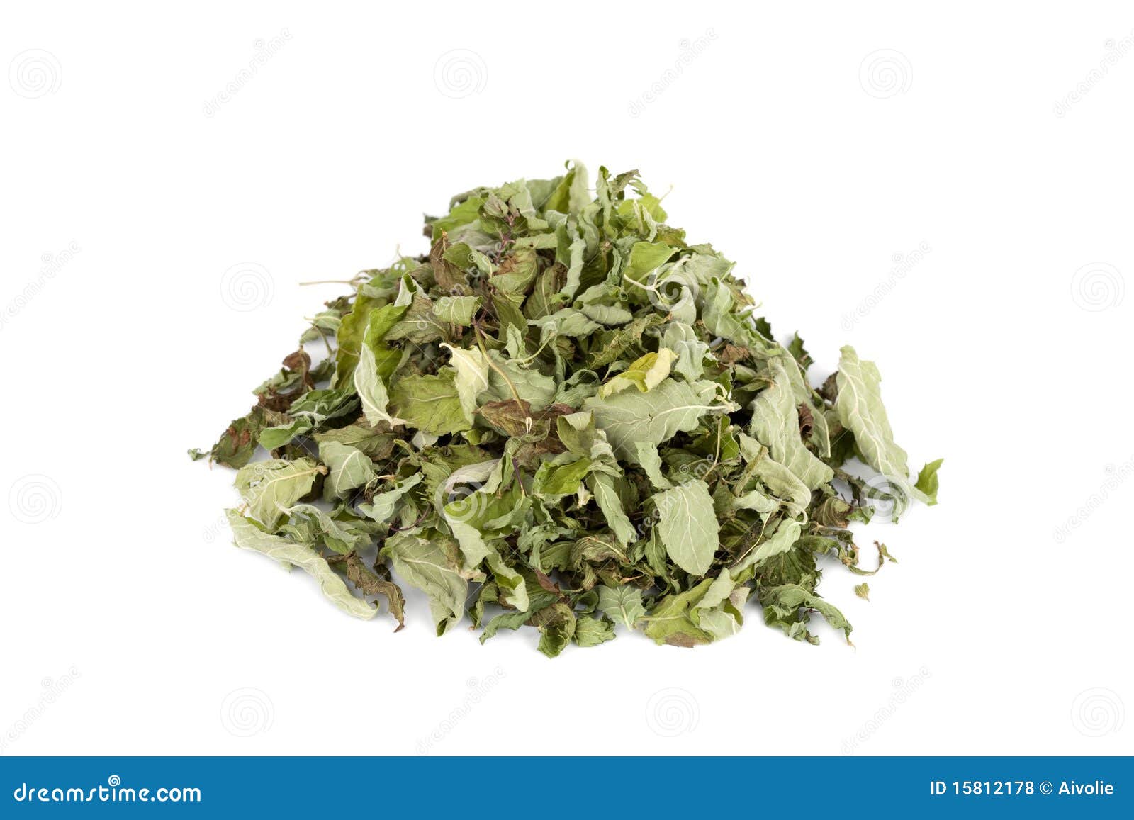 Dry mint stock photo. Image of mojito, nature, plant - 15812178