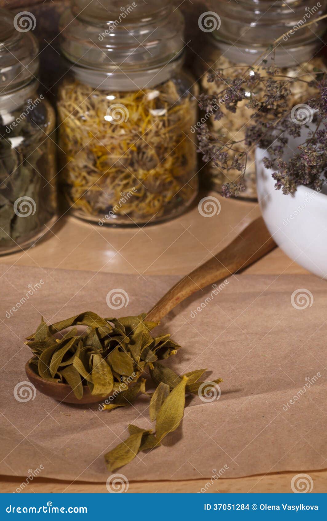 Dry mistletoe leaves stock photo. Image of treatment - 37051284