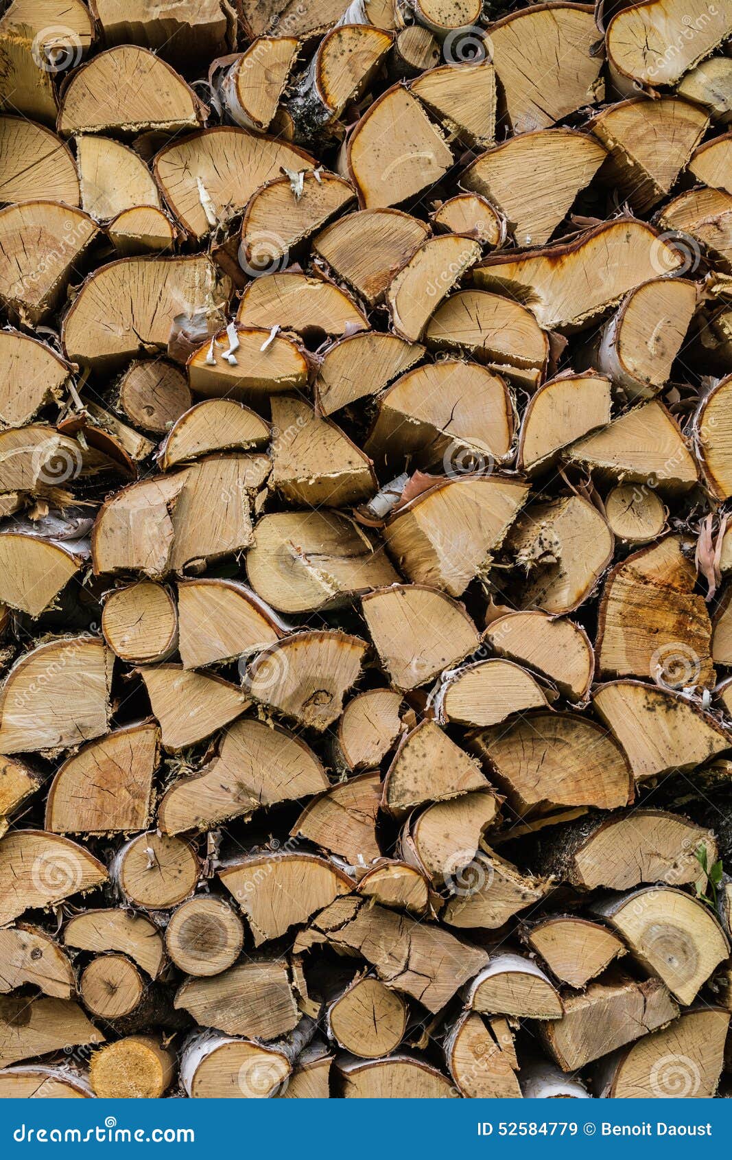 Dry Mixed Firewood Texture Background Stock Image - Image of cedar ...