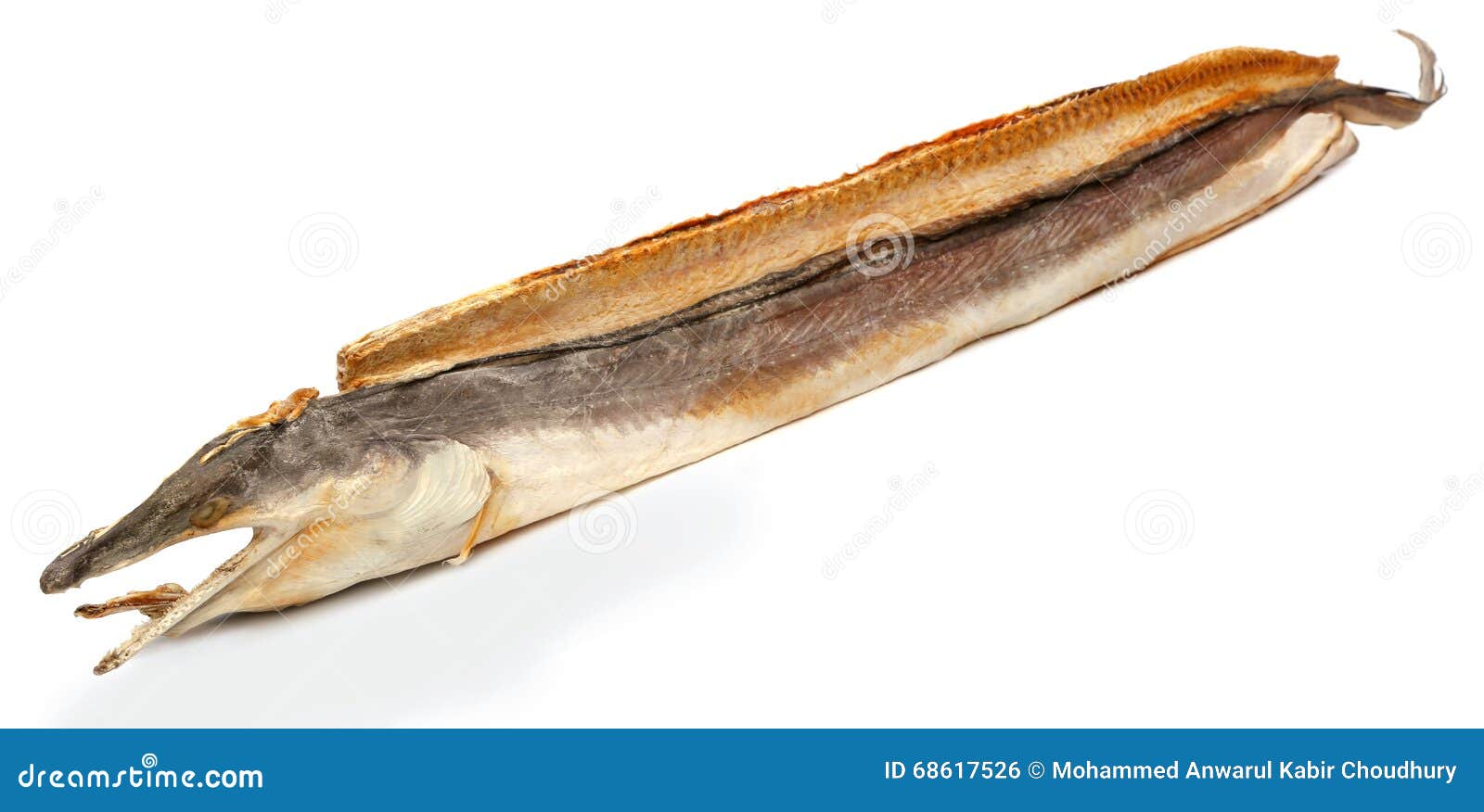 107 Eel Dry Fish Stock Photos - Free & Royalty-Free Stock Photos from ...