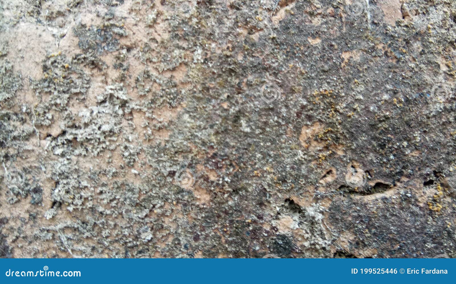 Dry Moss Brick Texture Cover Stock Photos - Free & Royalty-Free Stock ...