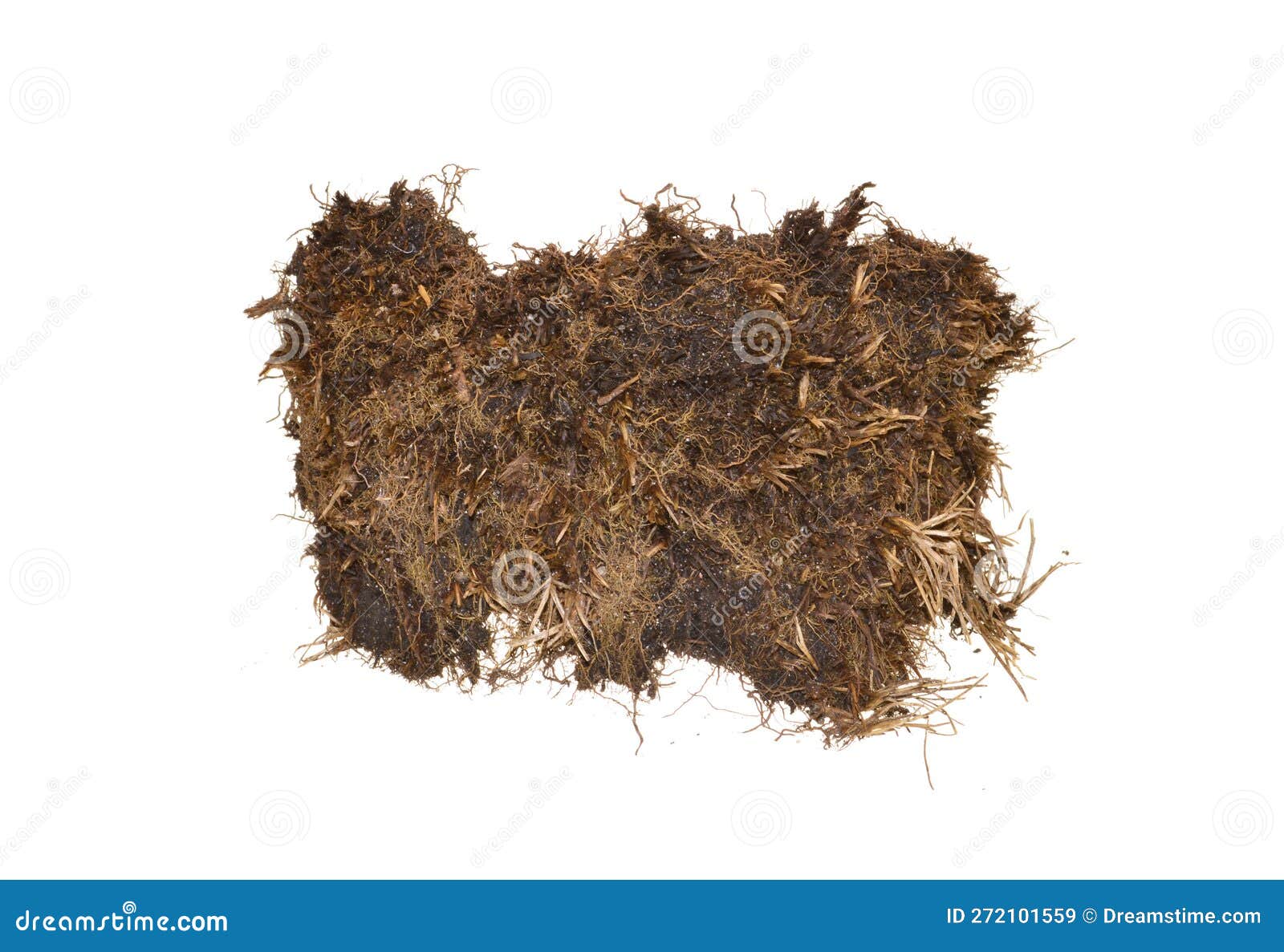 Dry Moss Isolated on White Background Stock Image - Image of color ...