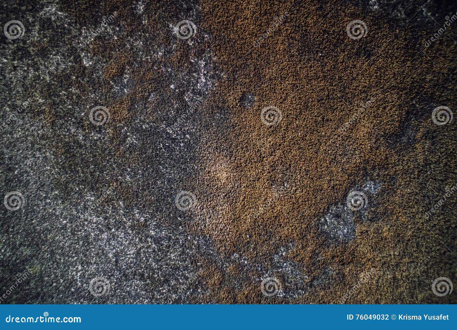 Dry moss on a wall stock photo. Image of fungus, damp - 76049032